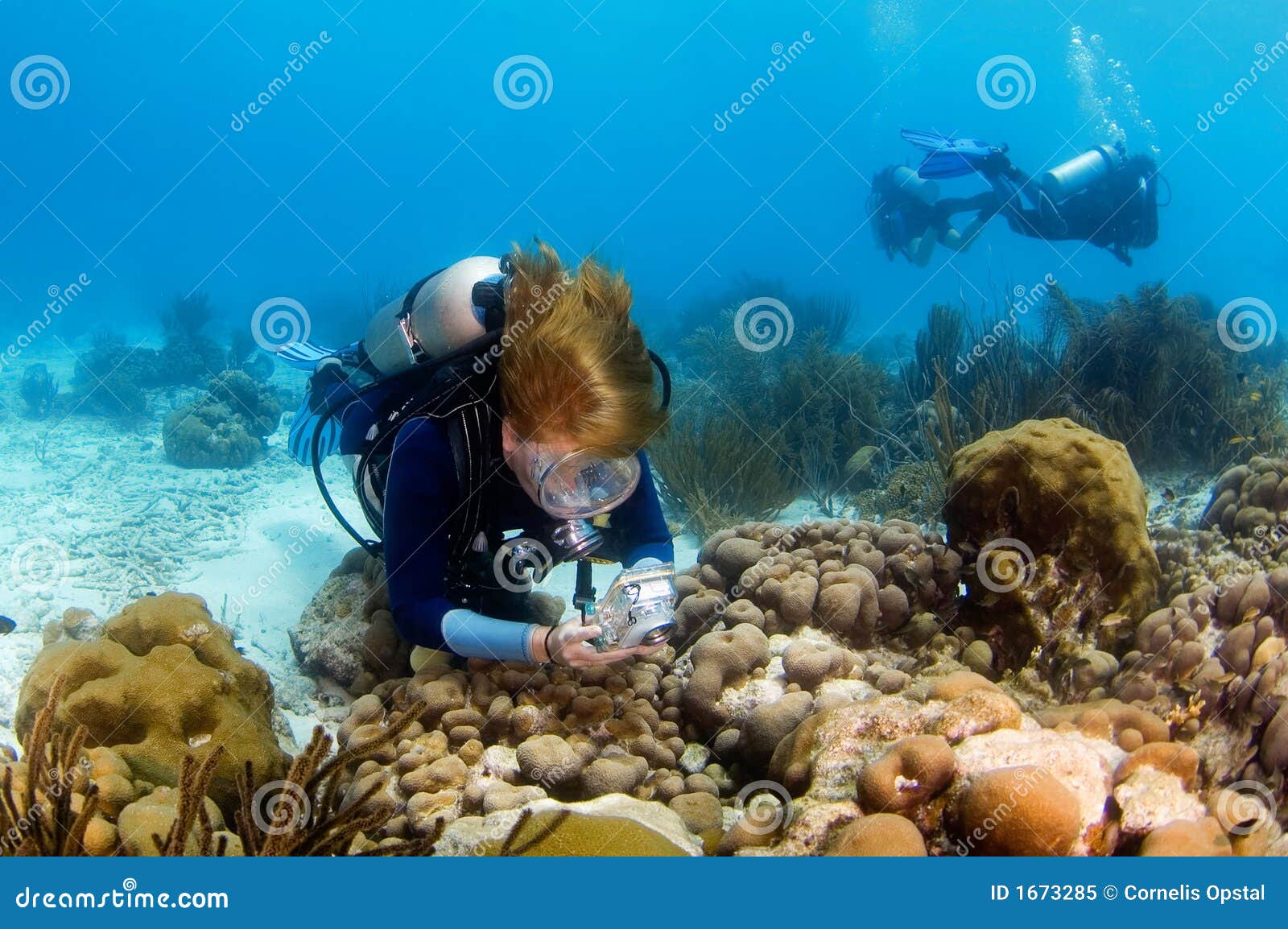 Woman Diver Underwater At The Entrance Of A Cave With Sunrays Stock ...