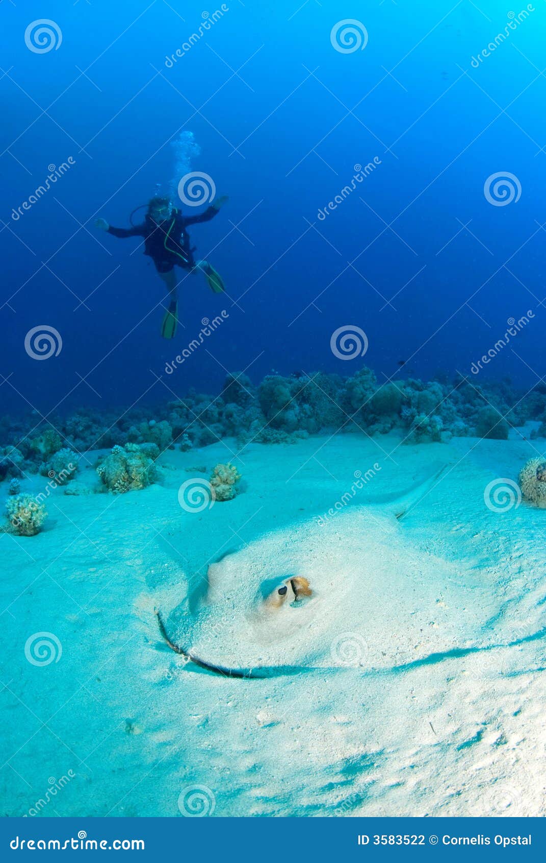 Woman Diver Underwater At The Entrance Of A Cave With Sunrays Stock ...