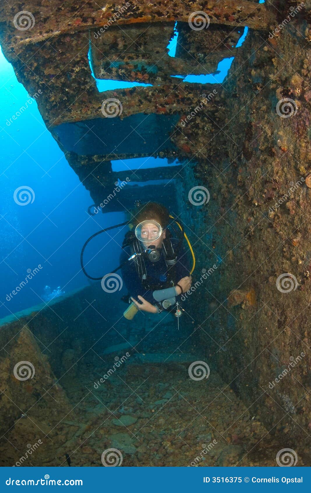 Woman diver on ship wreck stock image. Image of ocean - 3516375