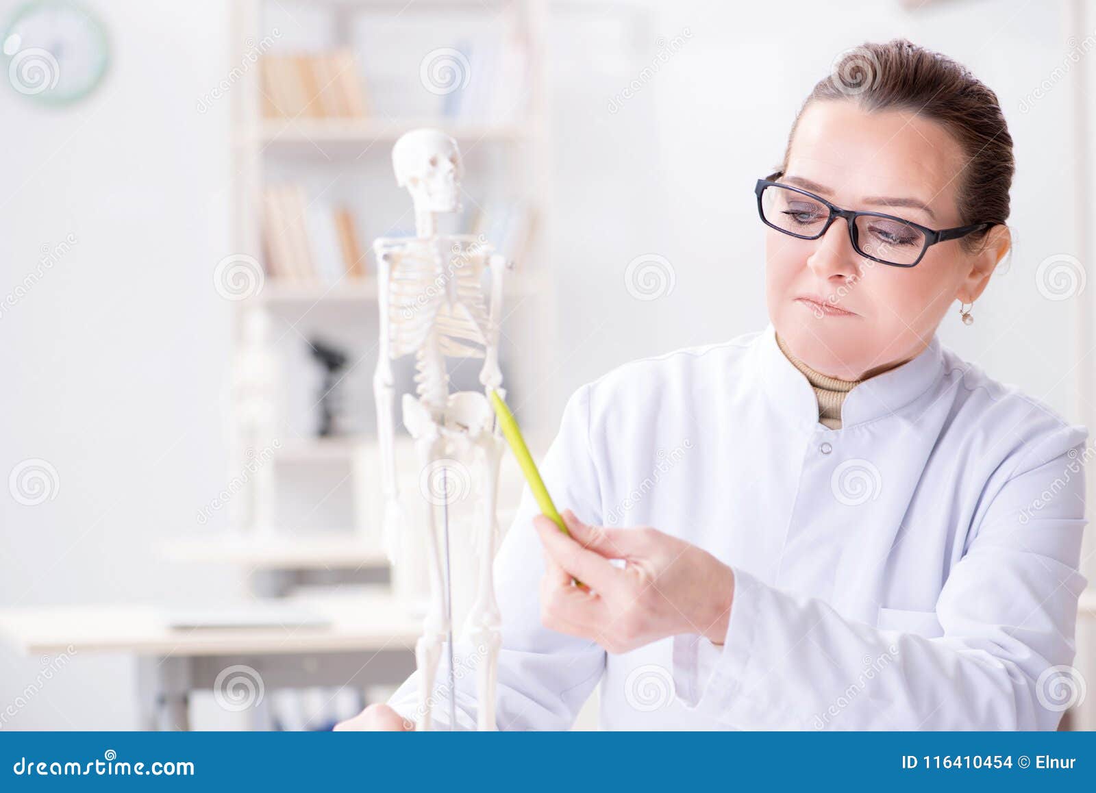 The Woman Doctor Studying Human Skeleton Stock Photo - Image of ...