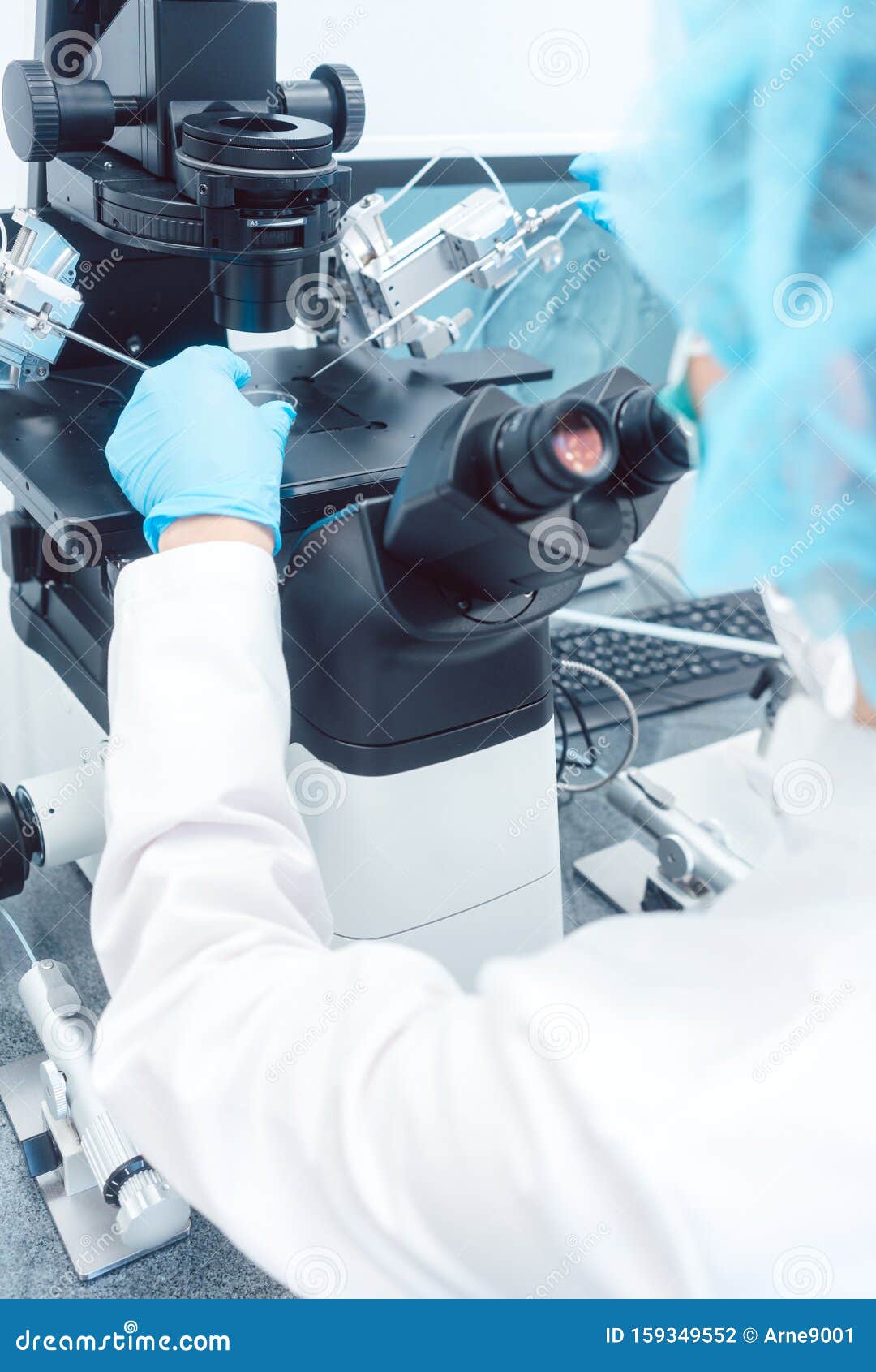 Woman Doctor Working in Medical Lab Stock Photo - Image of microscope ...
