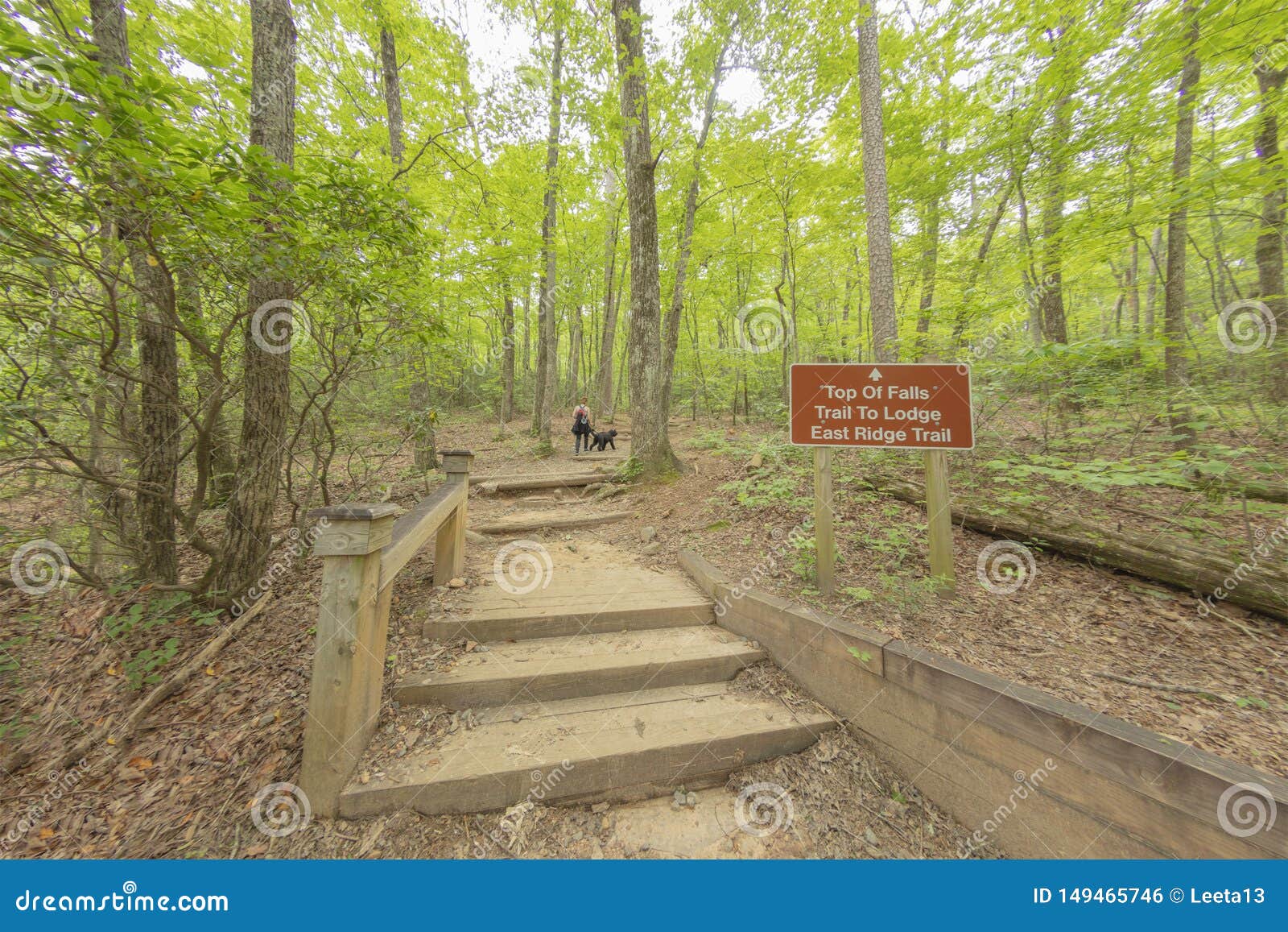 Woman with Dog Hiking a Trail at Amicalola Falls State Park Editorial ... Woman with Dog Hiking a Trail at Amicalola Falls State Park Editorial ...