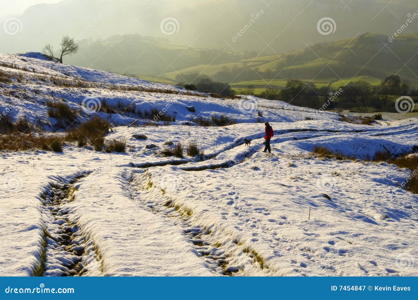 Woman and Dog on a Snowy Track Stock Image - Image of hiker, alone: 7454847