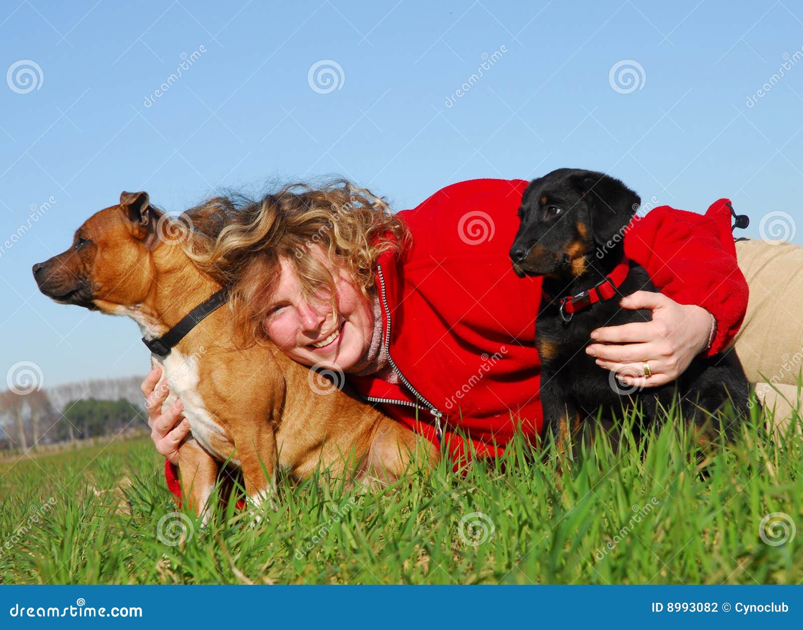 Woman and dogs stock photo. Image of puppy, black, shepherd - 8993082