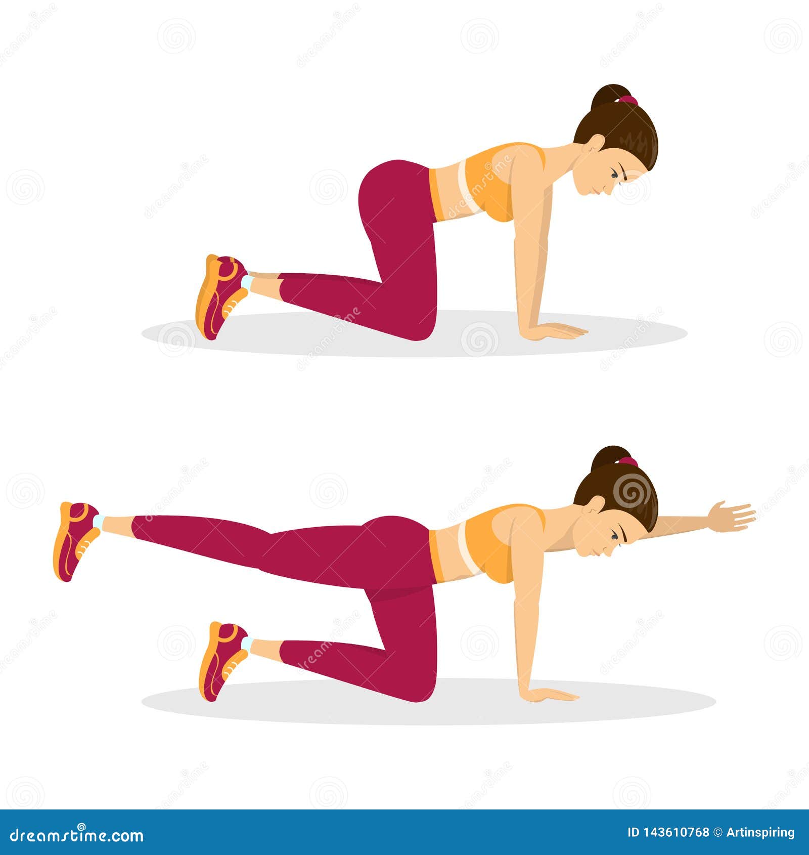 Cartoon Bird Dog Exercise Stock Illustrations – 65 Cartoon Bird Dog ...