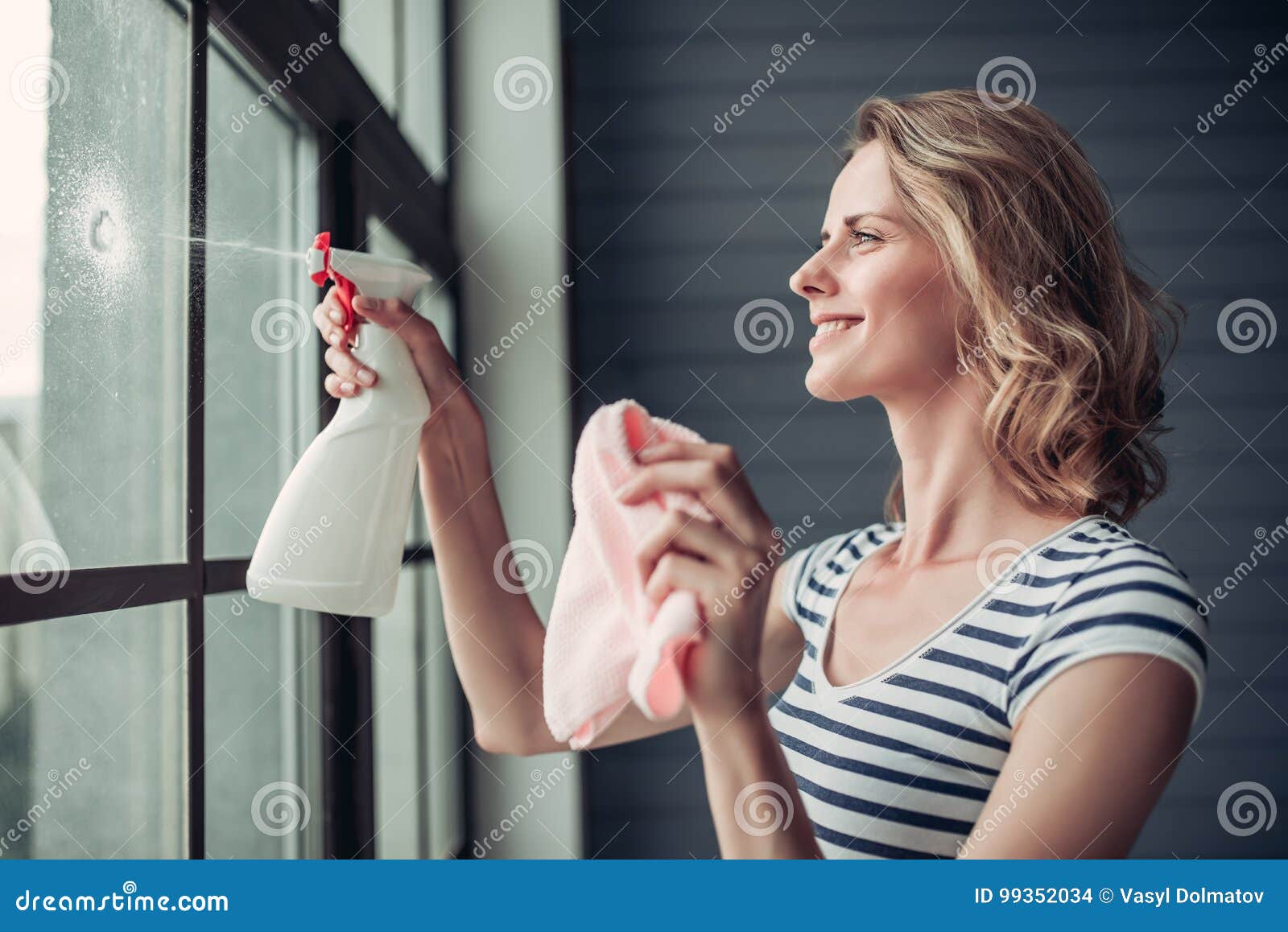 Woman Doing Cleaning at Home Stock Photo - Image of female, housework ...