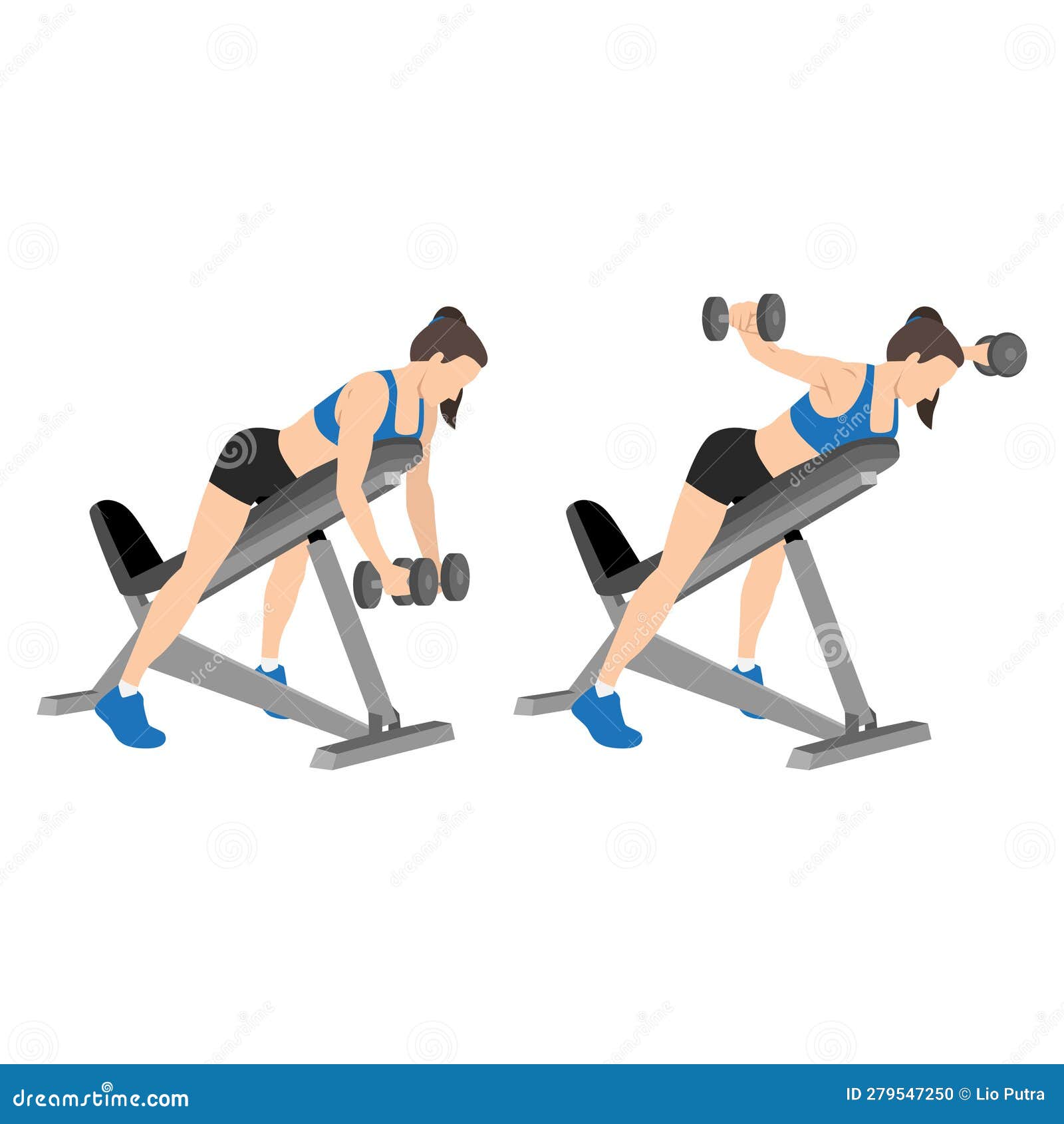 Woman Doing Dumbbell Bent Over Chest Supported Reverse Flyes Stock ... Woman Doing Dumbbell Bent Over Chest Supported Reverse Flyes Stock ...