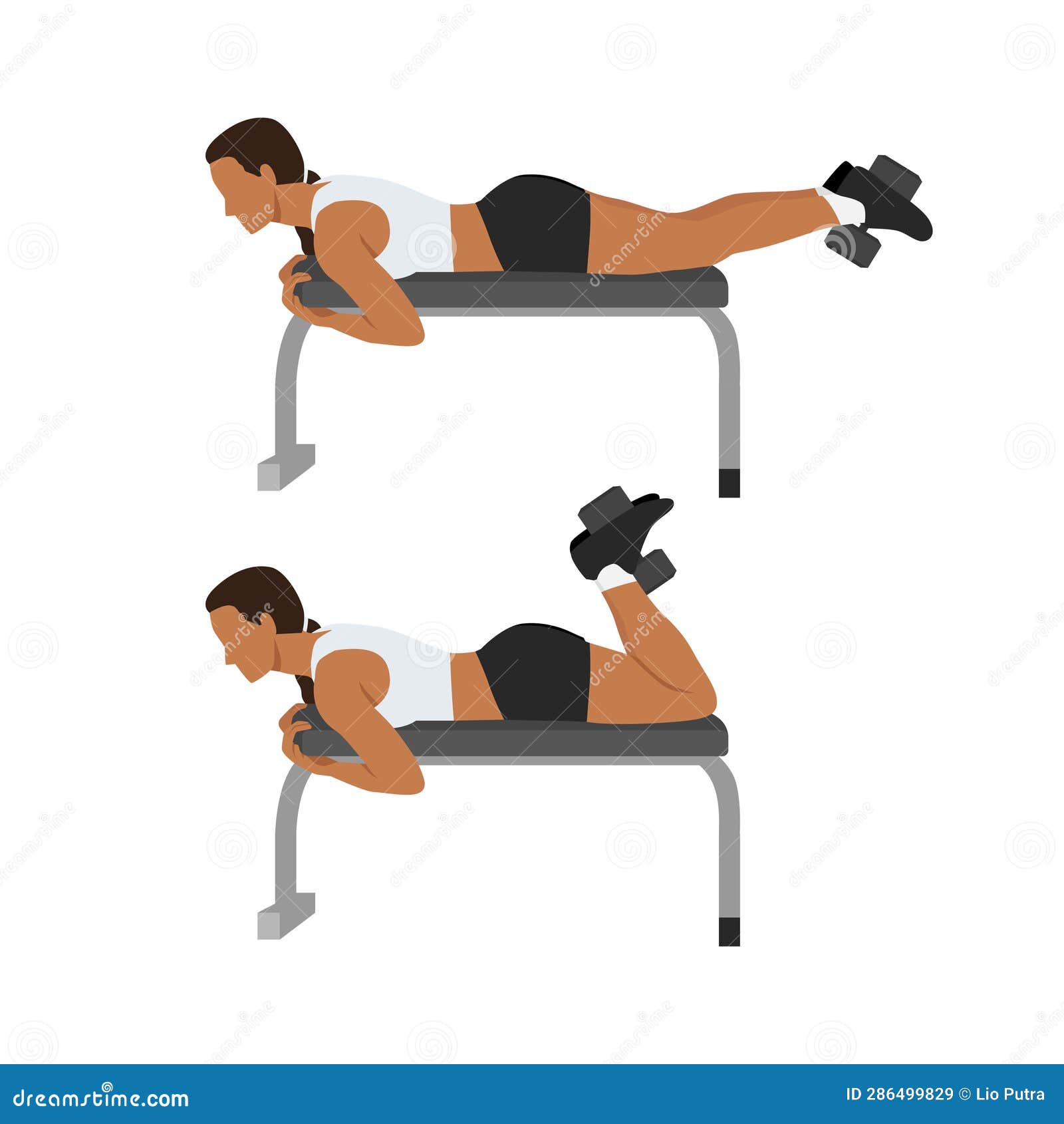 Woman Doing Dumbbell Hamstring Curl on Bench Exercise Stock Illustration - Illustration of feet ...