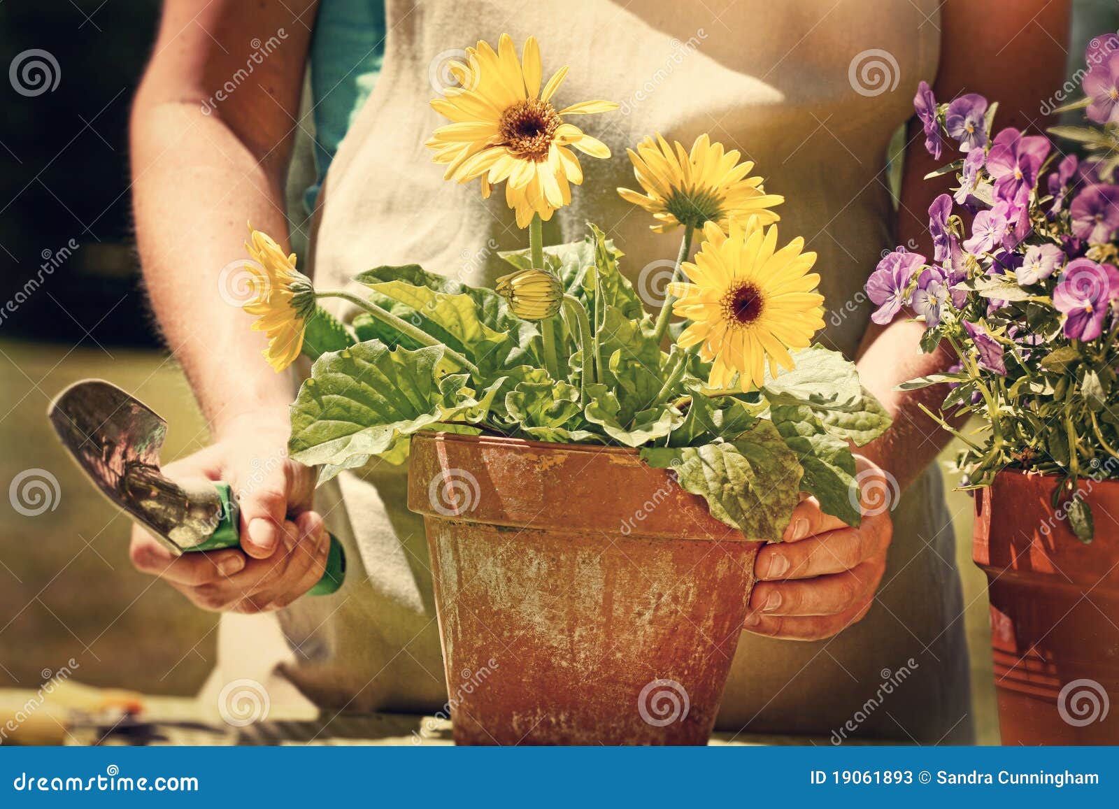 Woman doing garden work stock image. Image of clear, happy - 19061893