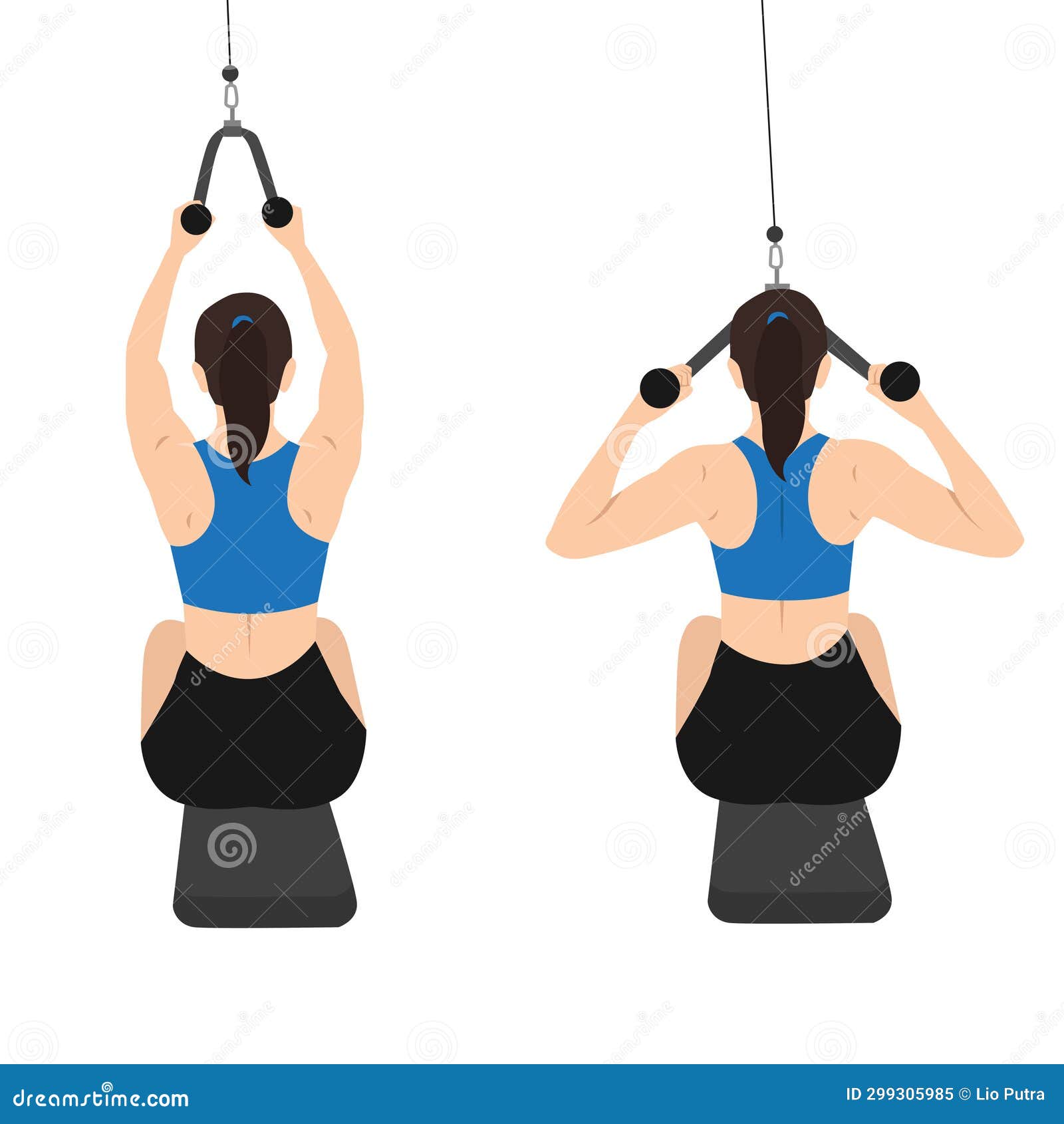 Woman Doing Seated Face Pull. Rear Delt Pull Exercise Cartoon Vector ...