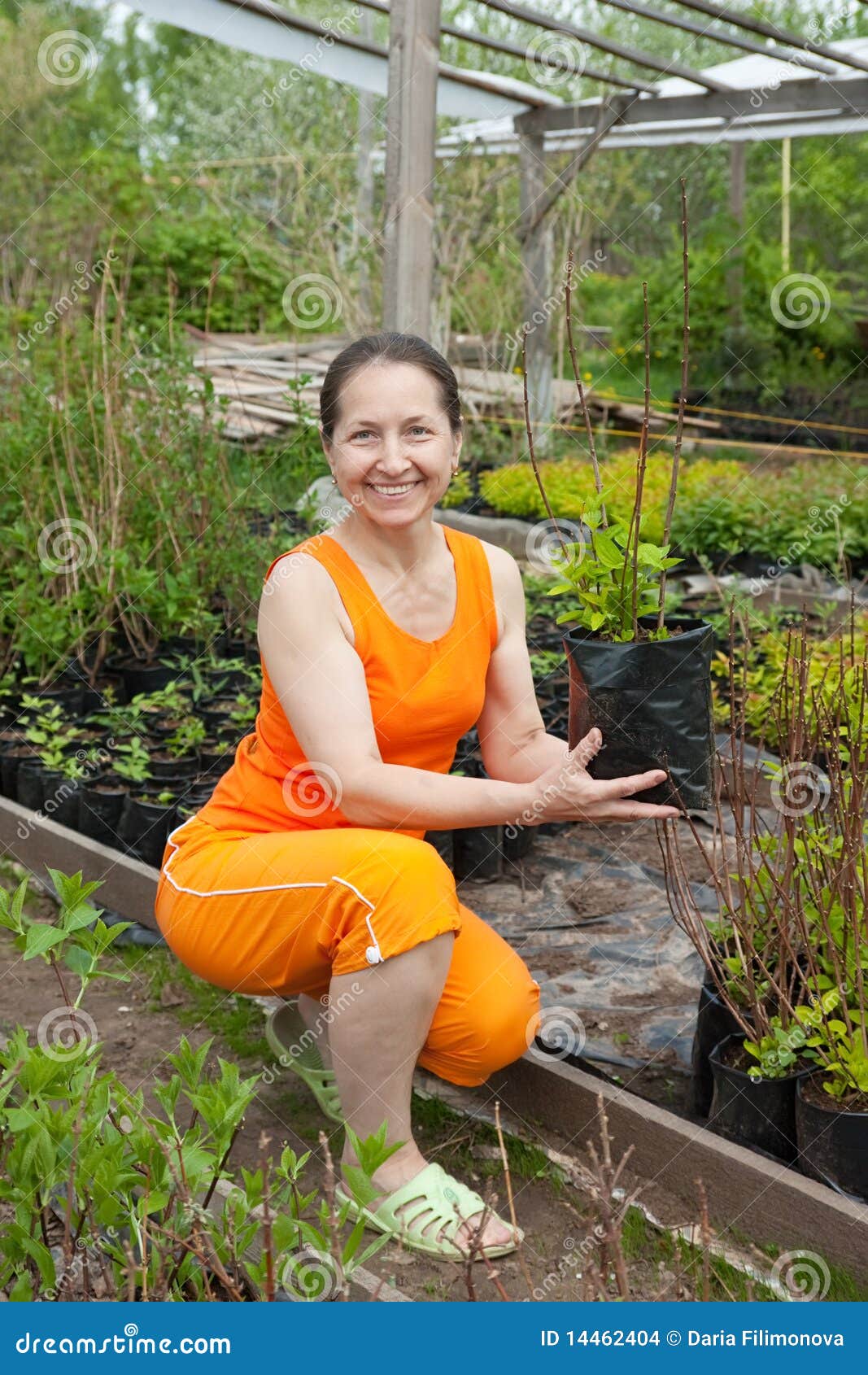 Woman Doing Work in Her Garden Stock Photo - Image of active, flowers ...