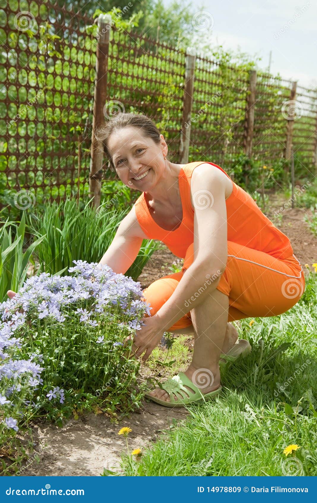 Woman Doing Work in Her Garden Stock Image - Image of botany, hold ...
