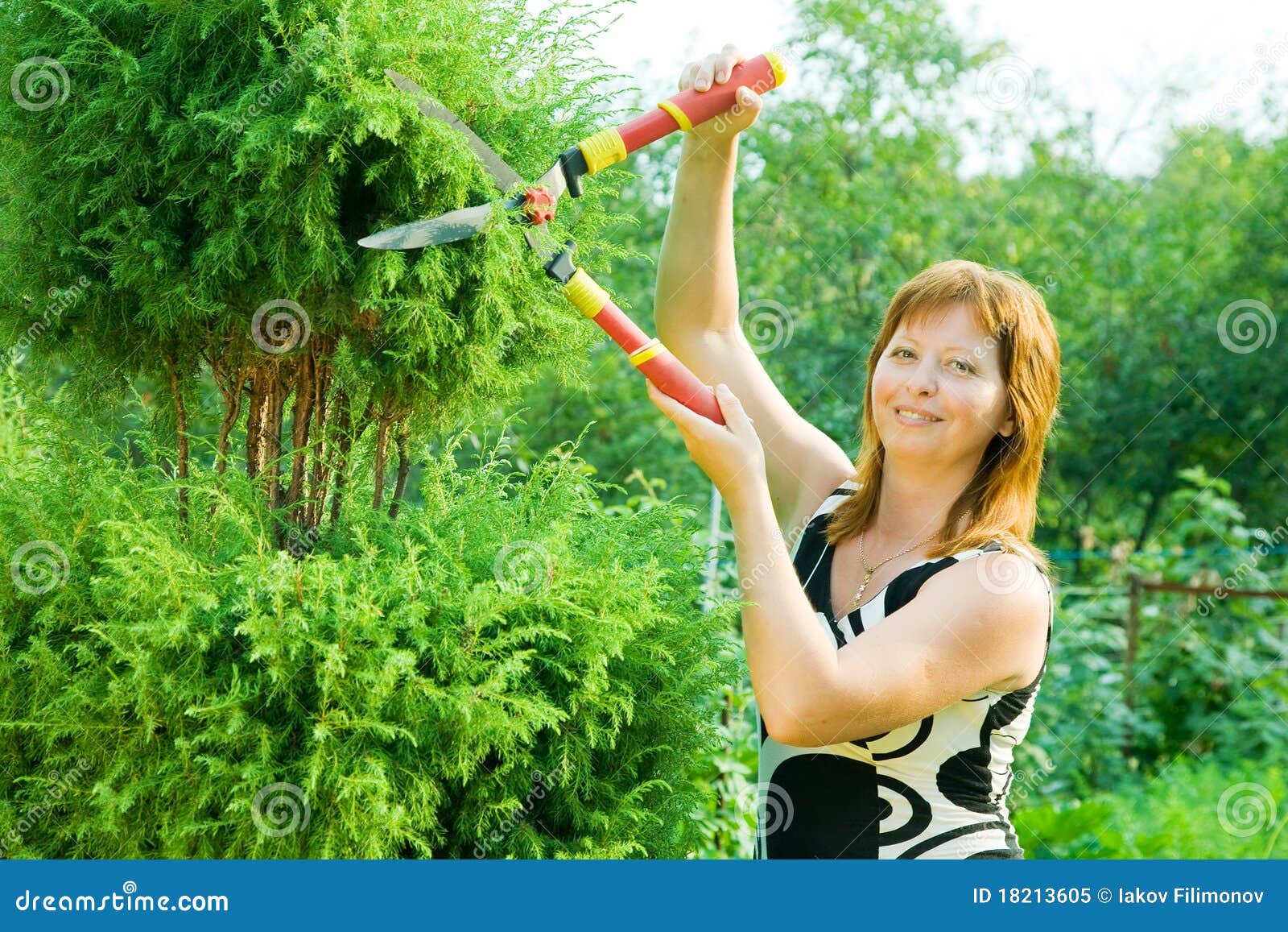 Woman Doing Work in Her Garden Stock Image - Image of garden, clippers ...