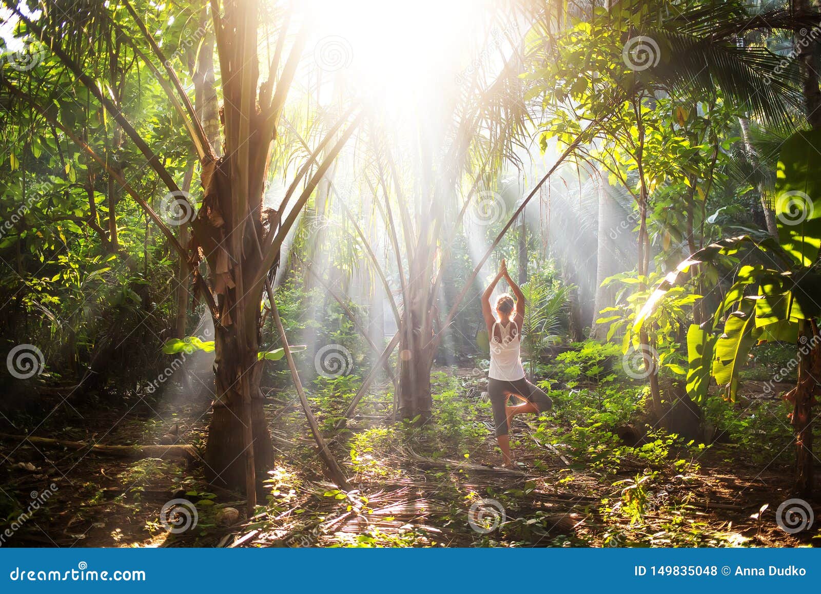 Woman Doing Yoga Outside in Jungle Stock Photo - Image of natural ...