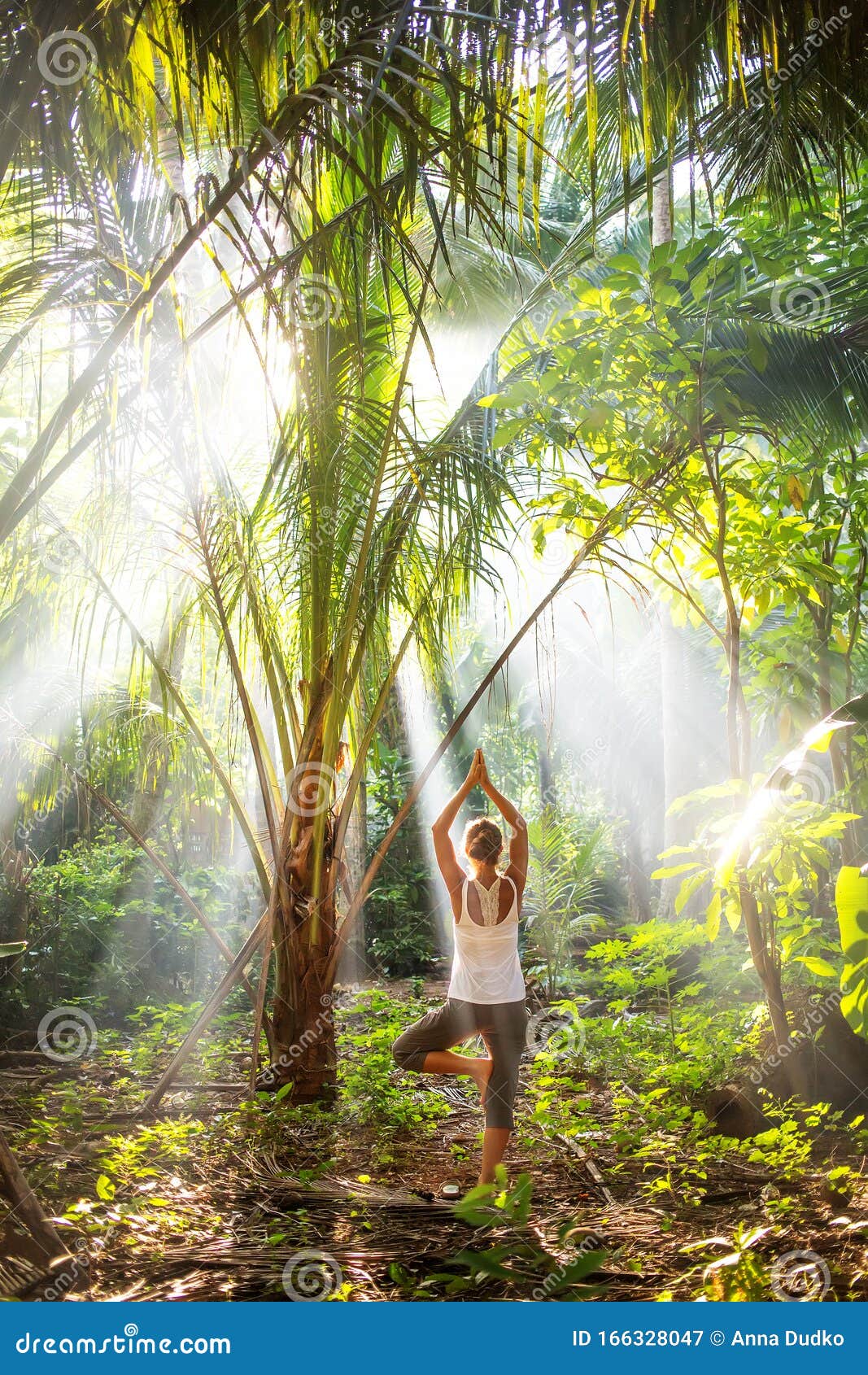 Woman Doing Yoga Outside in Jungle Stock Image - Image of jungle ...