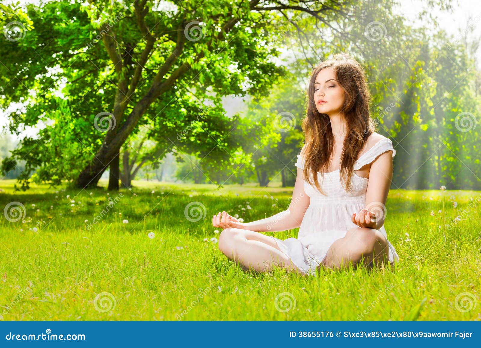 Woman Doing Yoga in Spring Park Stock Photo - Image of summer, grass ...