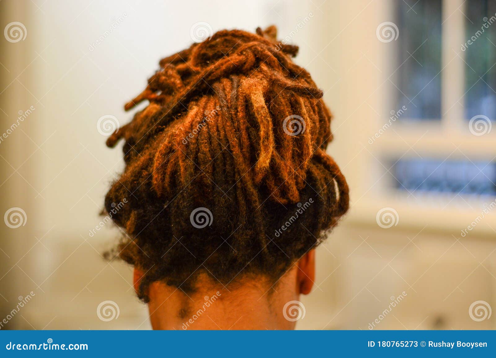 Rear View of Woman with Dreadlocks Stock Image - Image of hairdo ...