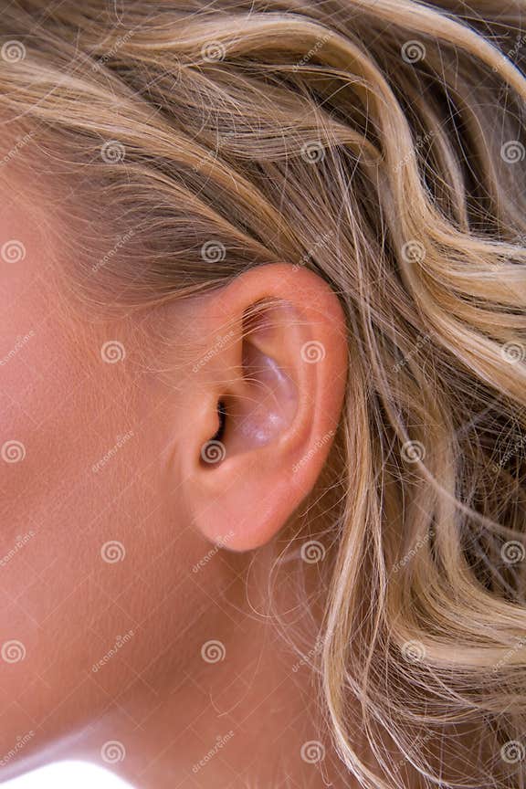 Woman ear stock image. Image of listen, white, sense, female - 6367095