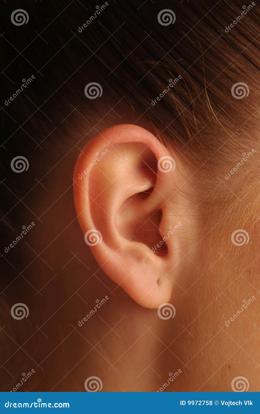 Woman ear stock photo. Image of detail, sensory, girl - 9972758