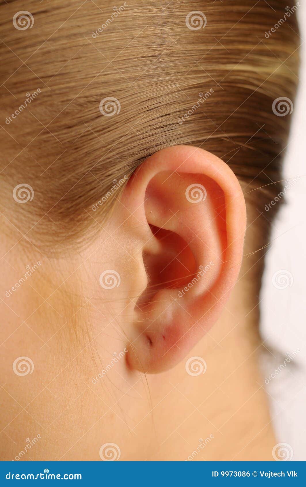 Woman ear stock photo. Image of young, modality, women - 9973086