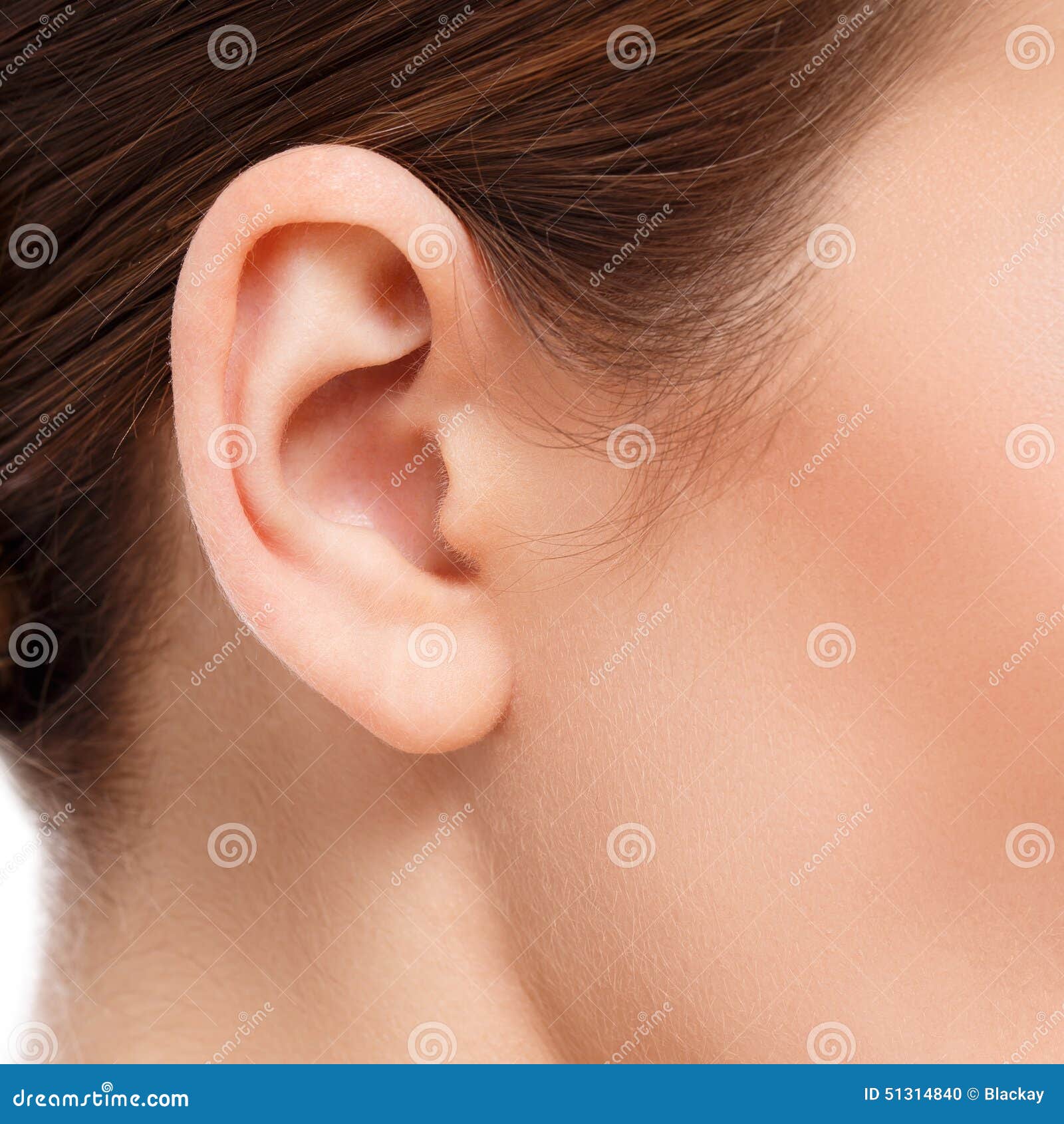 Woman ear closeup stock photo. Image of listen, medecine - 51314840