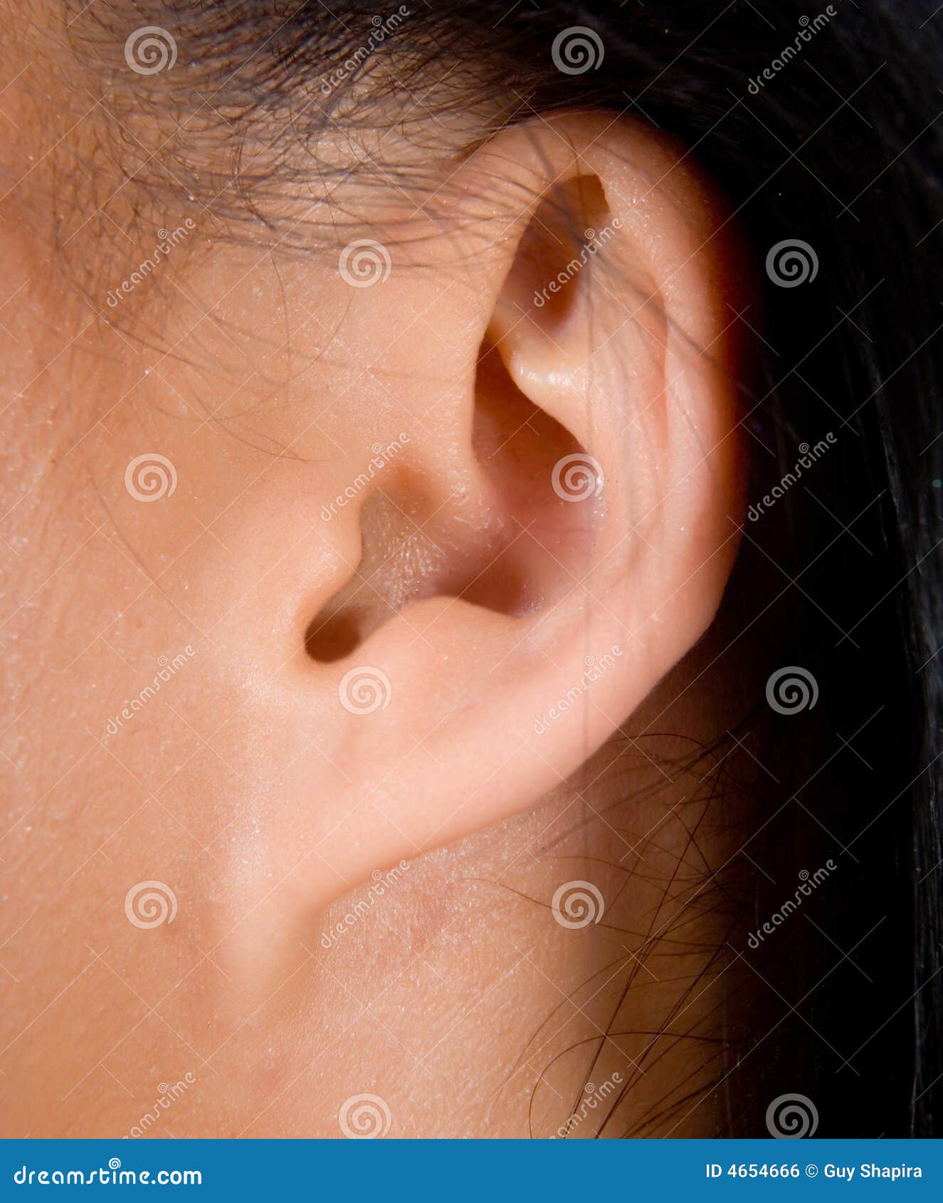 Woman ears stock photo. Image of caucasian, ladies, skin - 4654666