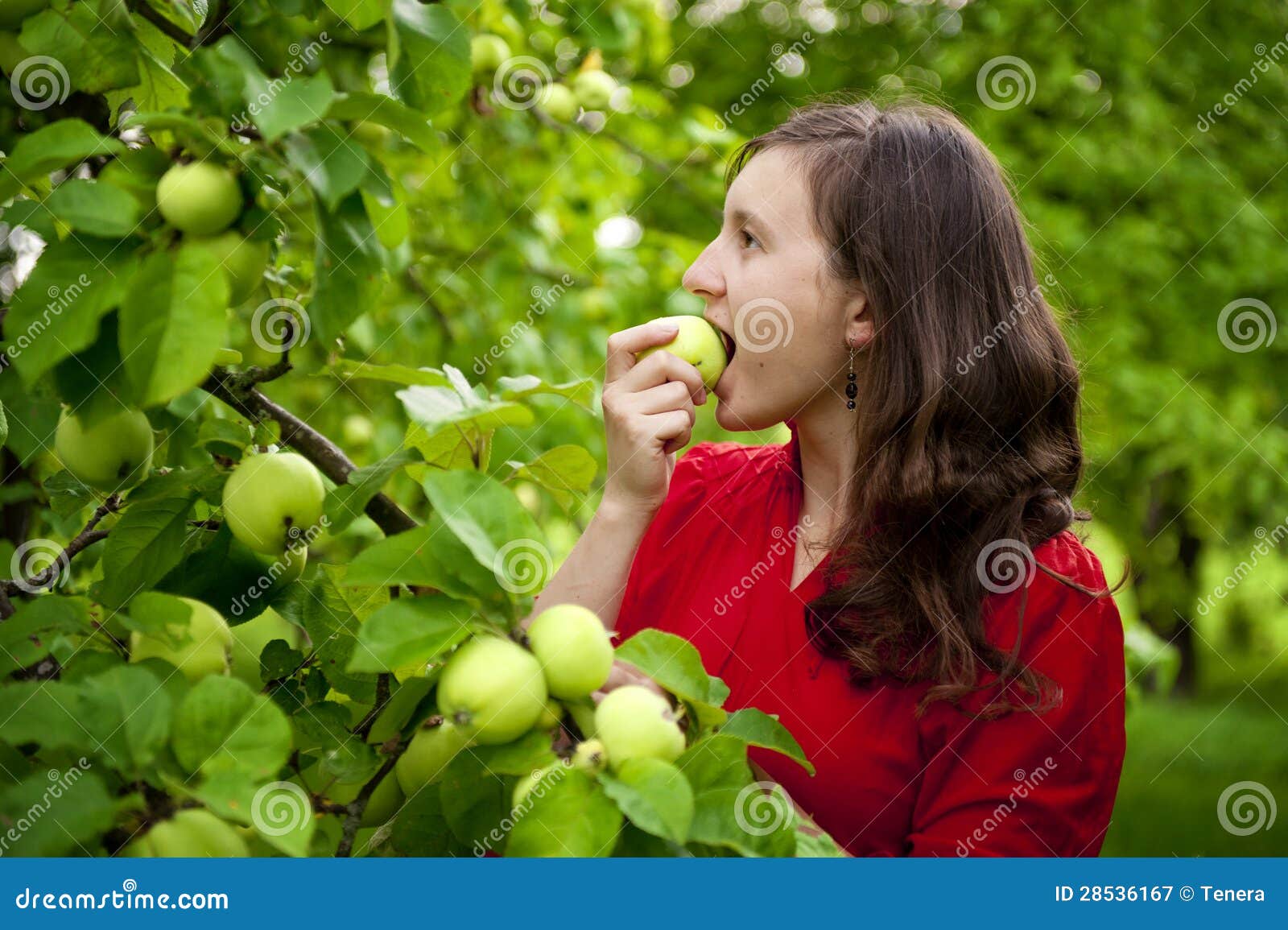 Woman eating apple stock image. Image of country, whip - 28536167