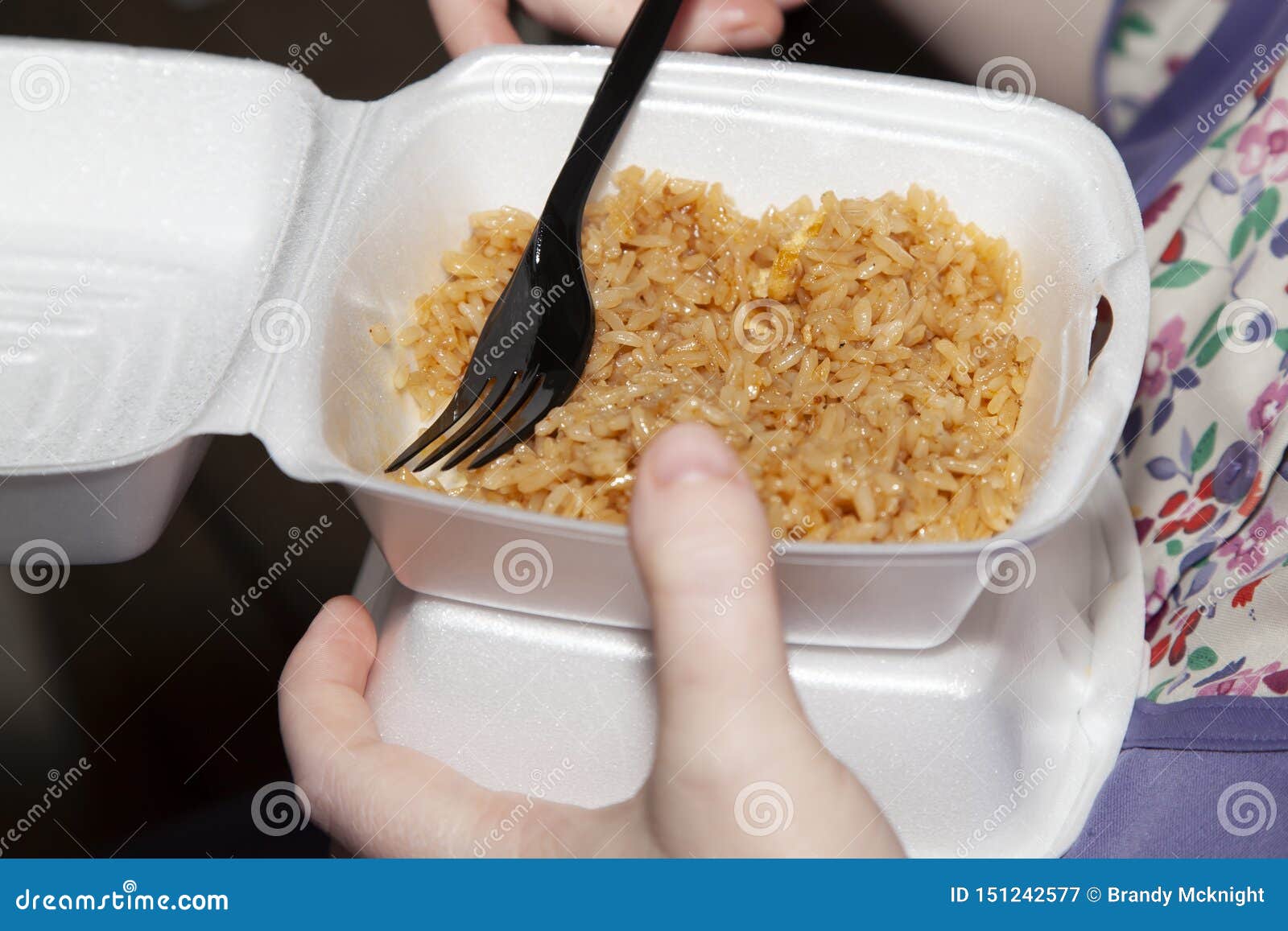 Woman Eating Fried Rice stock image. Image of dinner - 151242577