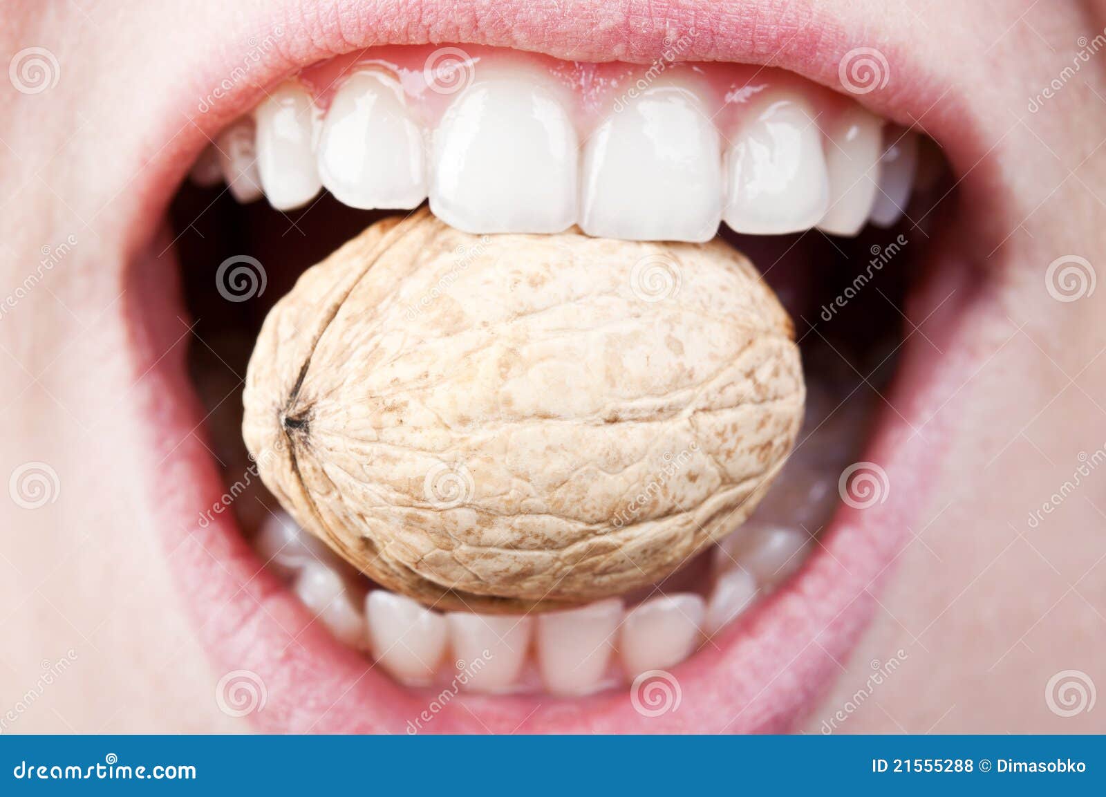 Woman eating hard nut stock photo. Image of object, natural - 21555288