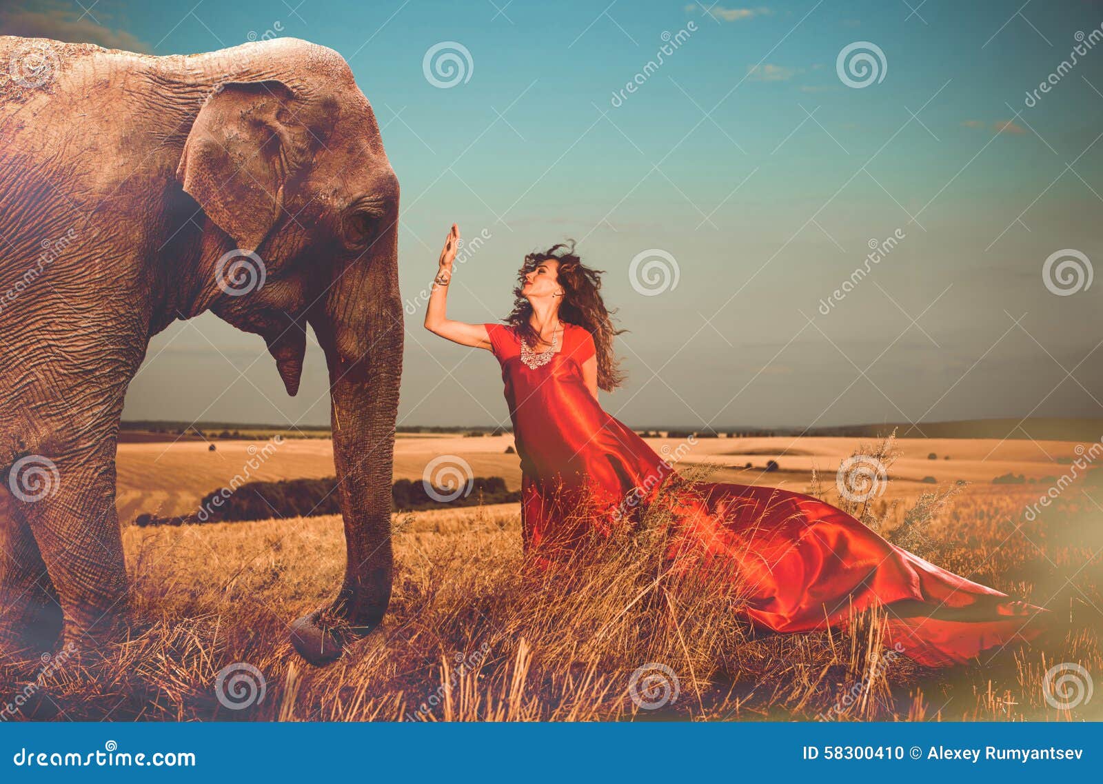 Woman and elephant stock photo. Image of scenic, caucasian - 58300410