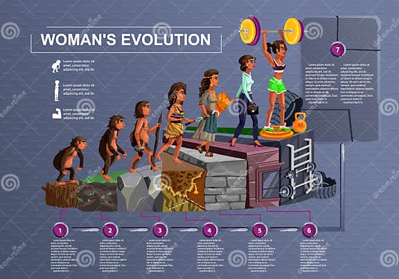 Woman Evolution Time Line Vector Cartoon Stock Vector - Illustration of ...