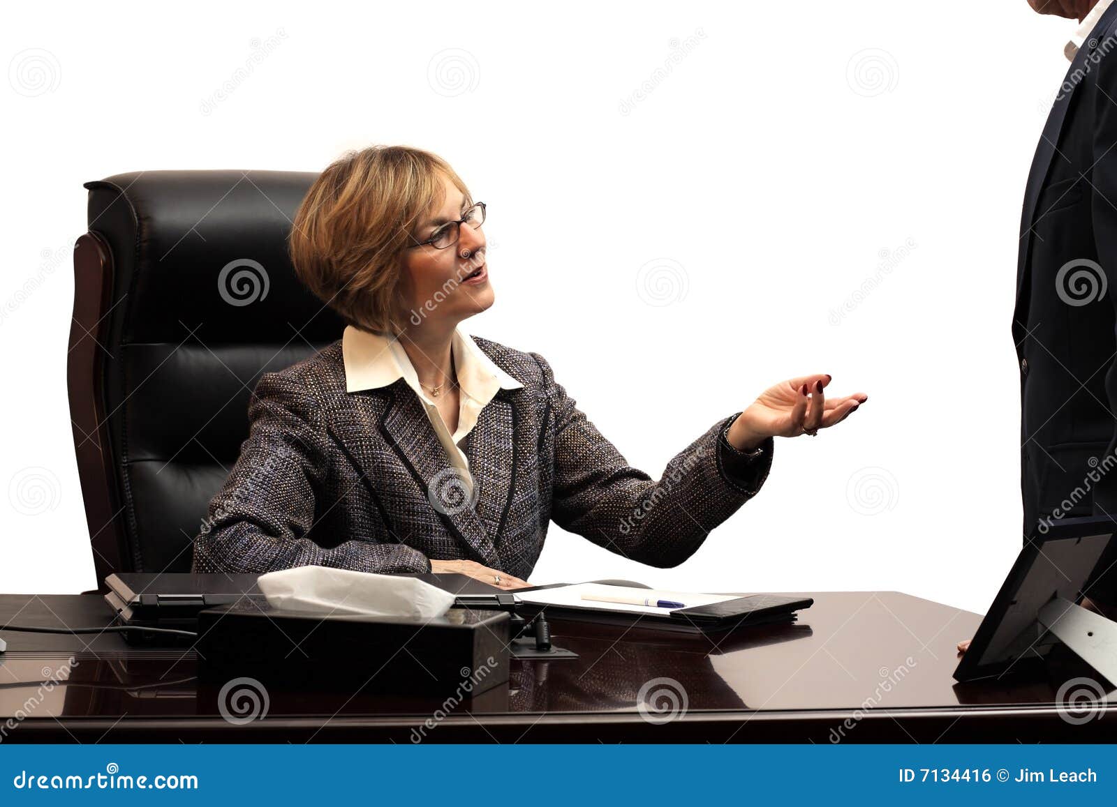 Woman Executive - Teamwork stock photo. Image of successful - 7134416