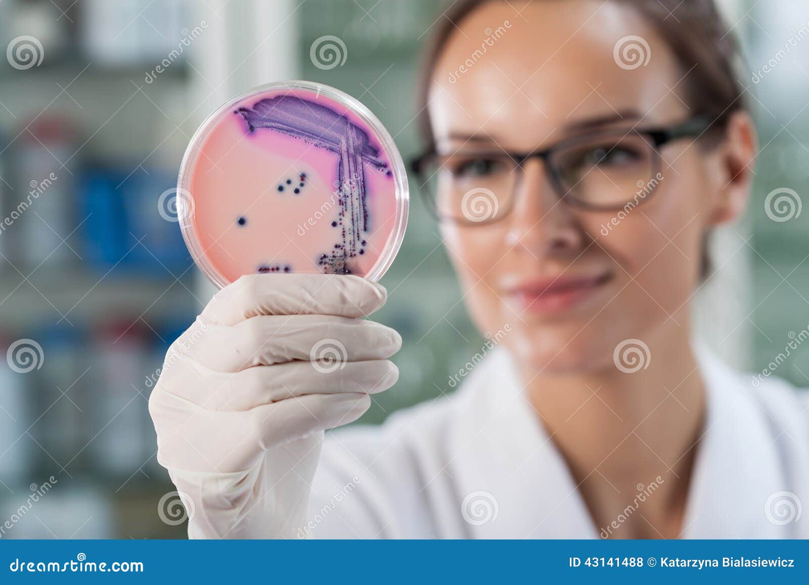 Woman Experimenting with Microbacteria Stock Photo - Image of biology ...