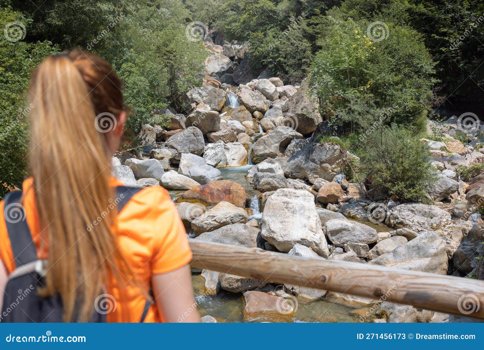 Woman Exploring Nature while Standing on a Bridge Stock Image - Image ...