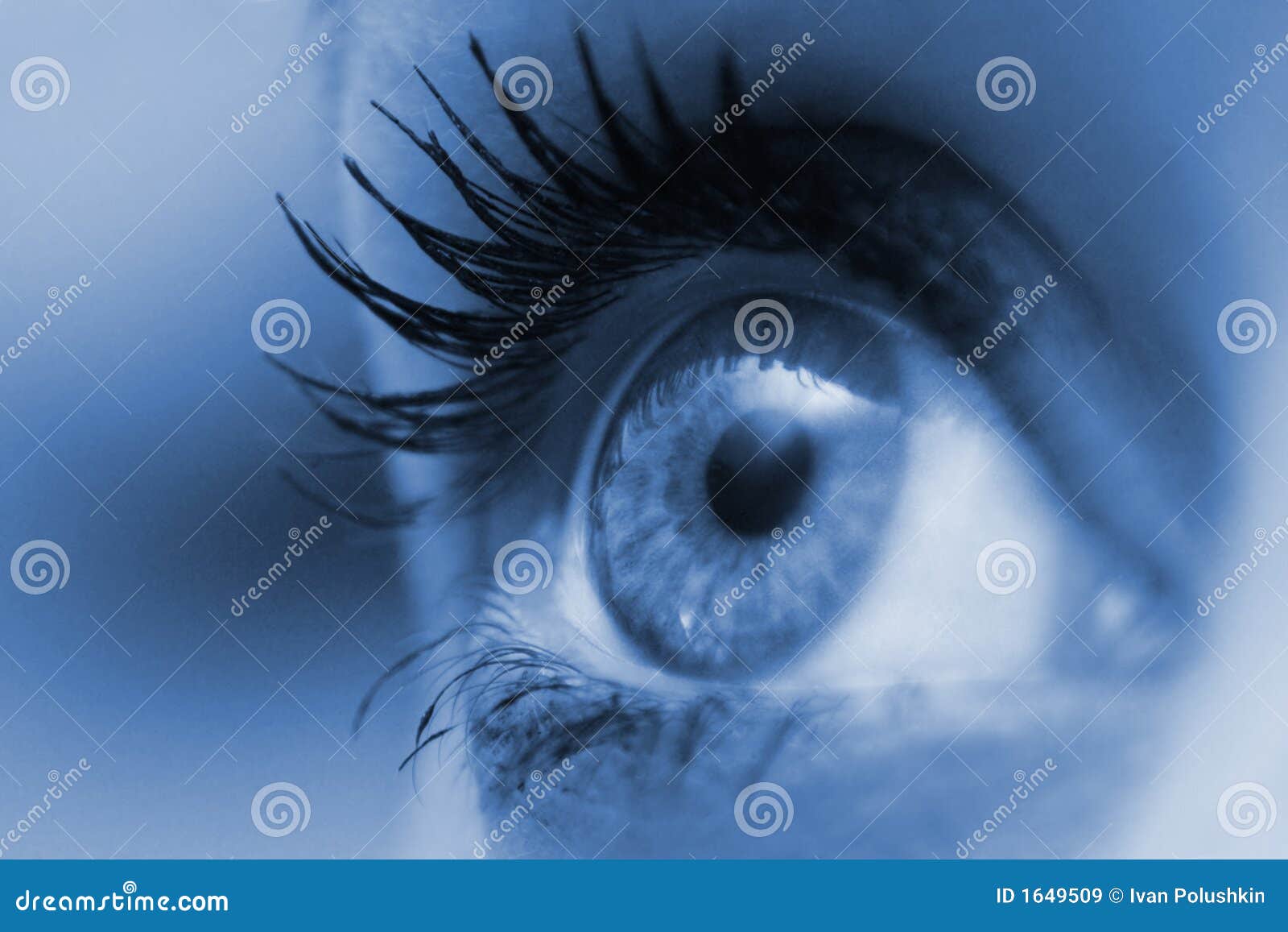 Woman eye stock image. Image of eyes, beauty, background - 1649509