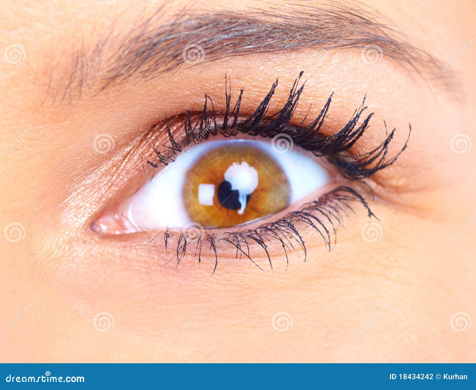 Woman eye stock photo. Image of lady, sight, eyeball - 18434242