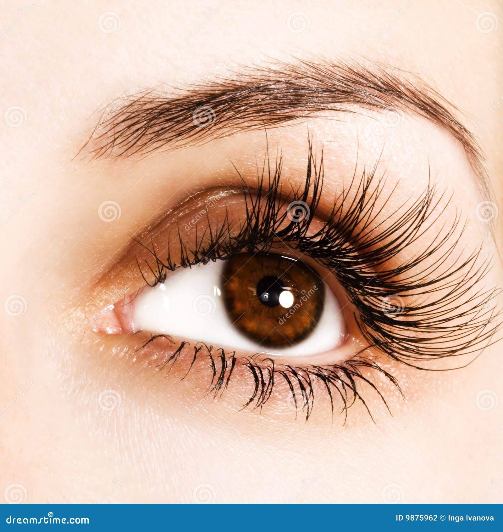 Woman eye stock photo. Image of female, woman, eyeball - 9875962