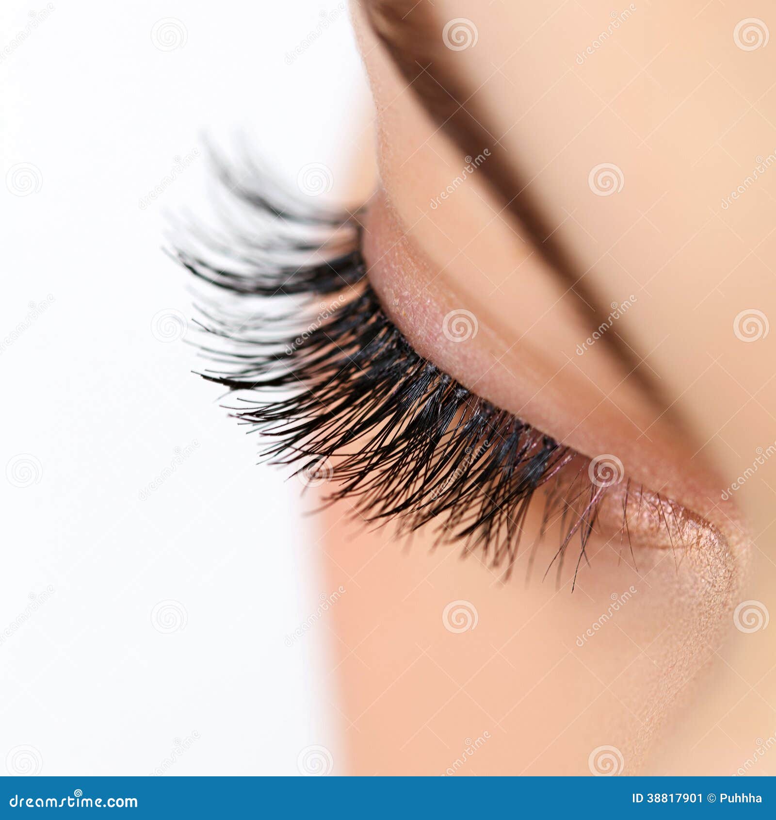Woman Eye with Long Eyelashes. Eyelash Extension Stock Image - Image of ...