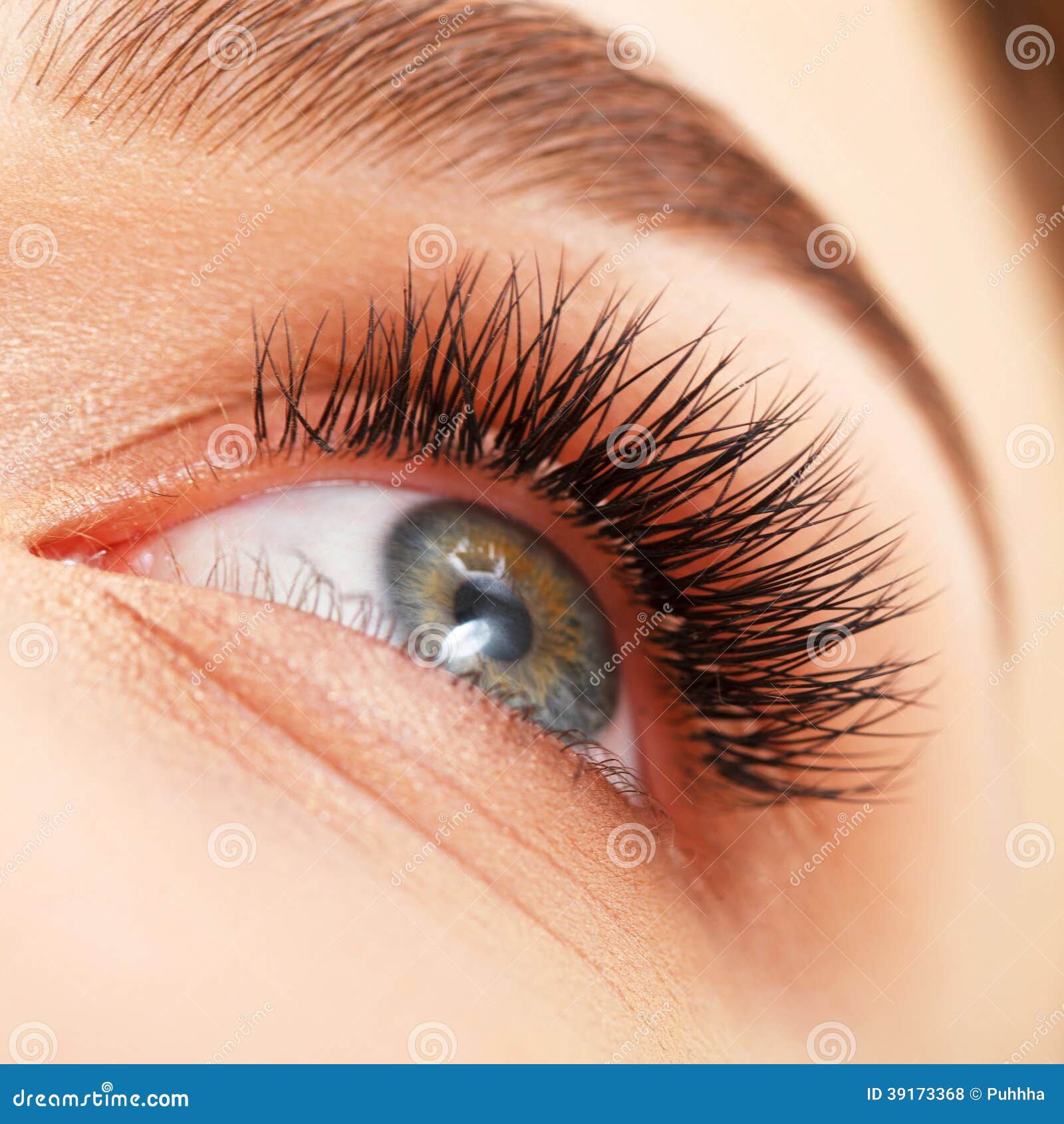 Woman Eye with Long Eyelashes. Eyelash Extension Stock Photo - Image of ...
