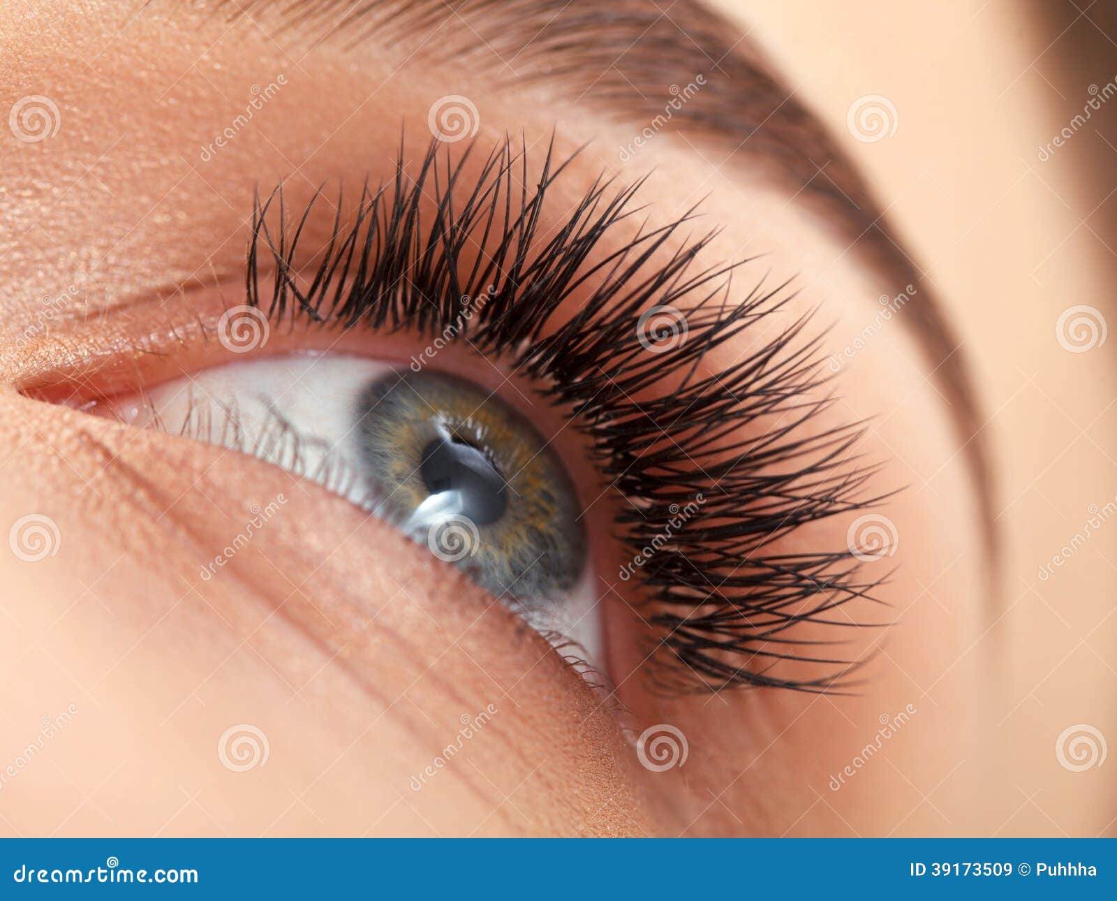 Woman Eye with Long Eyelashes. Eyelash Extension Stock Image - Image of ...