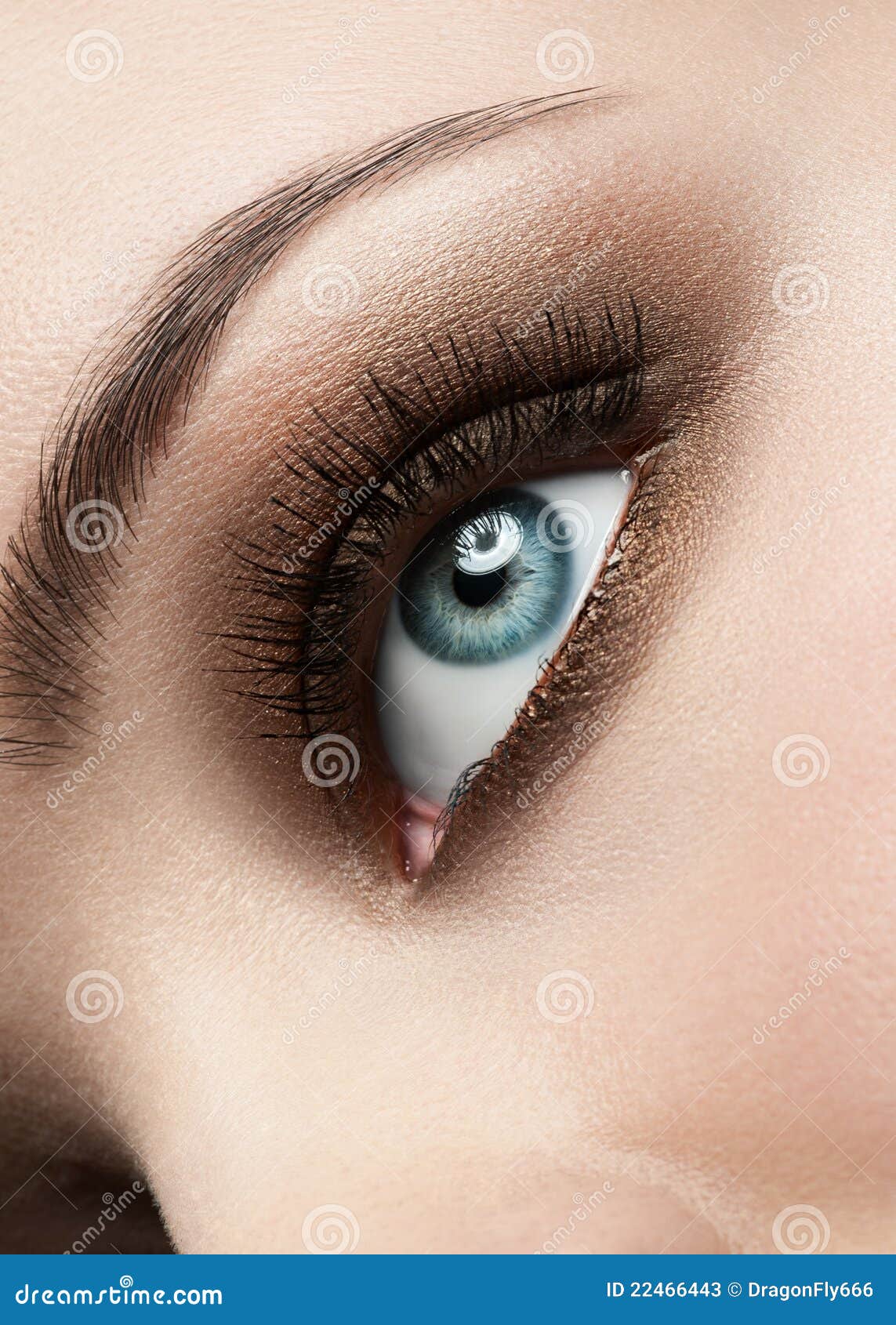 Woman eye with make-up stock image. Image of false, beauty - 22466443
