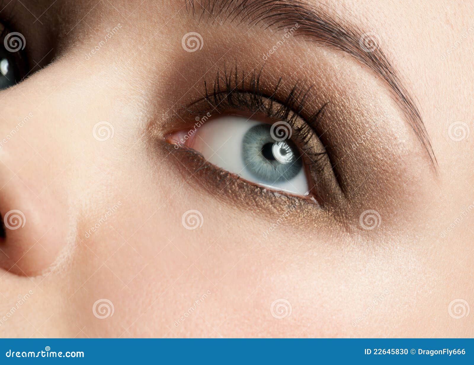 Woman eye with make-up stock photo. Image of eyebrow - 22645830