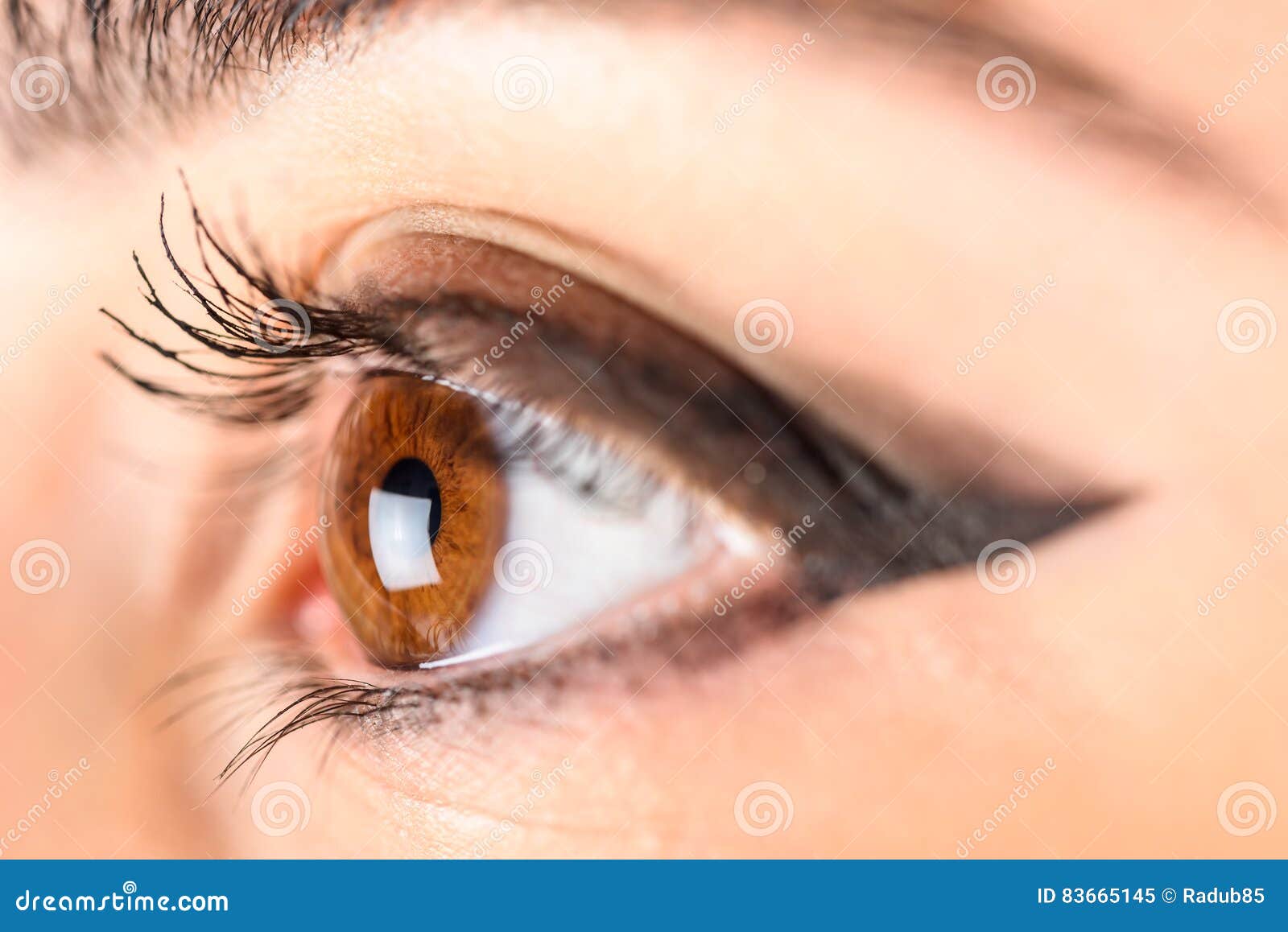 Woman Eye with Makeup and Eyelashes Stock Image - Image of face, lash ...