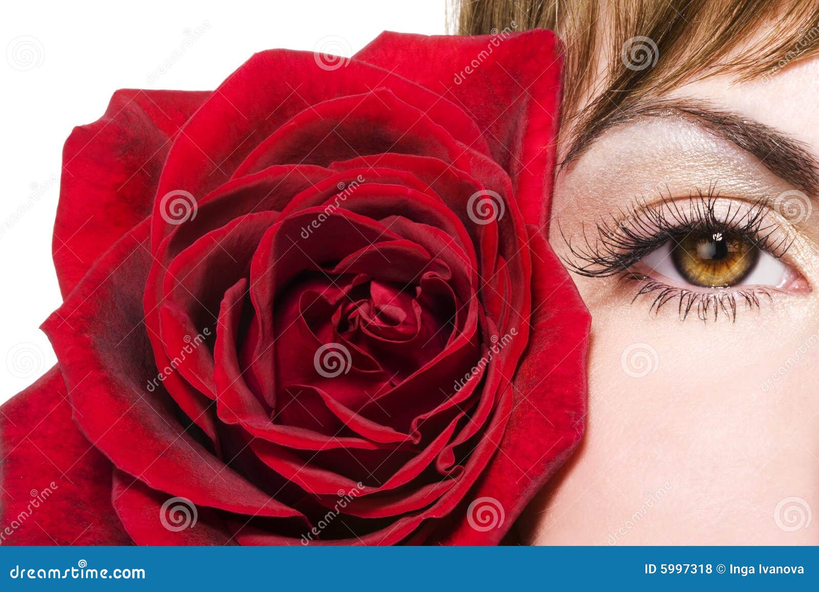 Woman eye and red rose stock photo. Image of eyelashes - 5997318