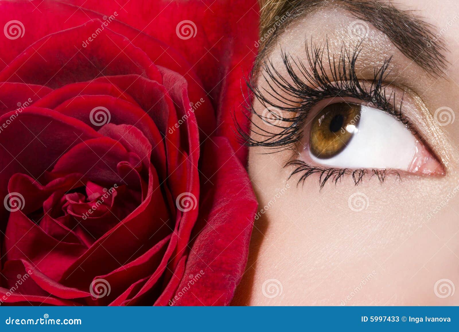 Woman eye and red rose stock image. Image of rose, fashion - 5997433