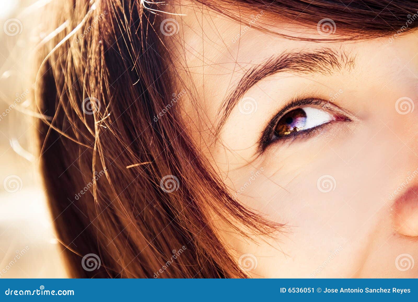 Woman eye staring up stock image. Image of female, pupil - 6536051