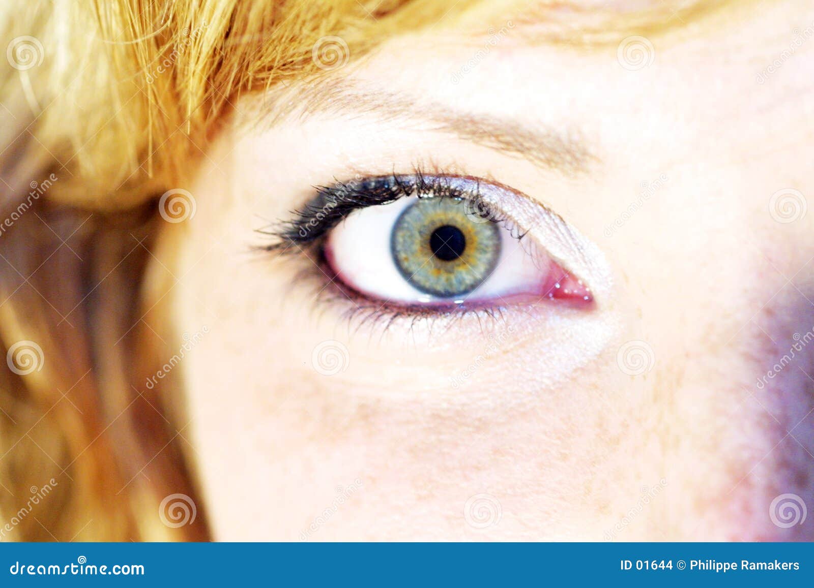 Woman eyes stock photo. Image of adult, crystal, oftalmologist - 1644