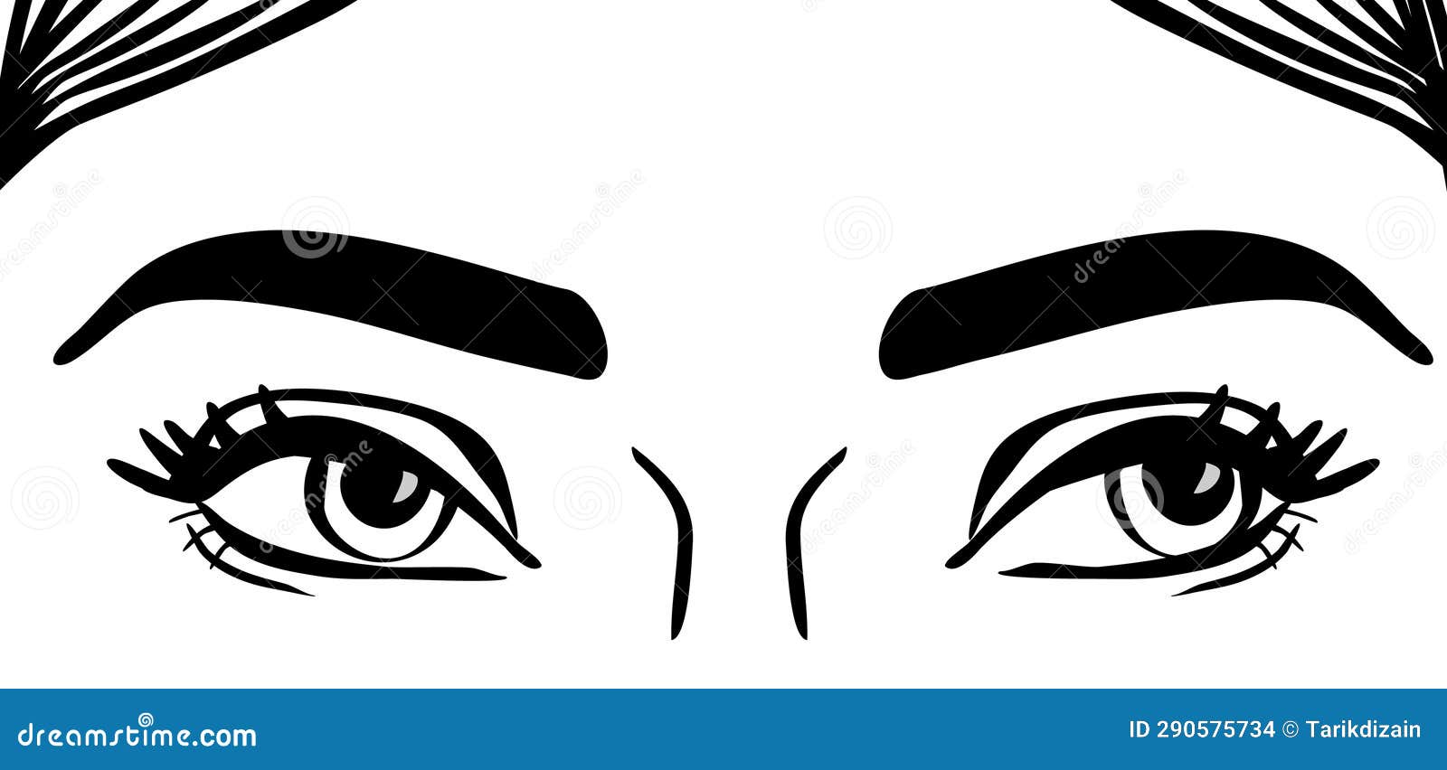 Woman Eyes Eyebrows Line Drawing Outline Style Vector Illustration ...
