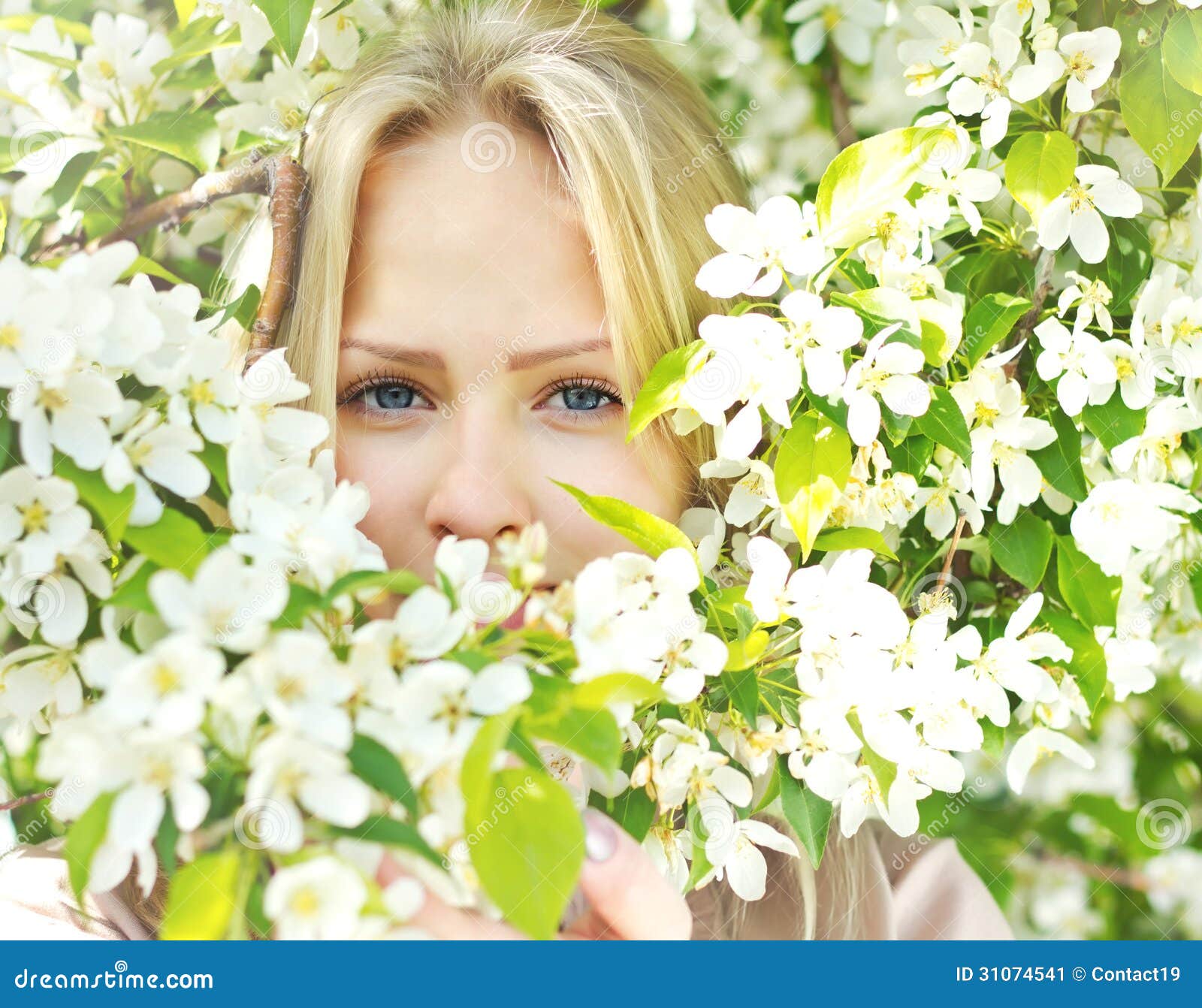 Woman Face among Blossom Tree Stock Image - Image of healthy, flowers ...