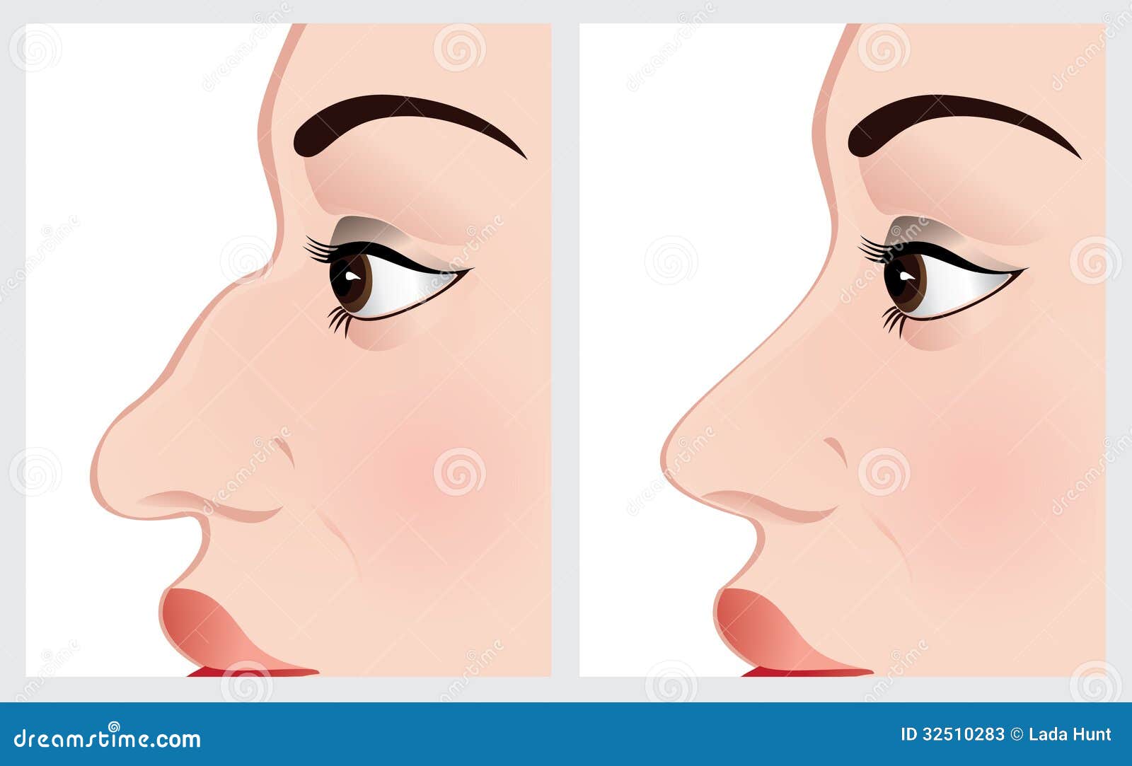 Female Nose Vector